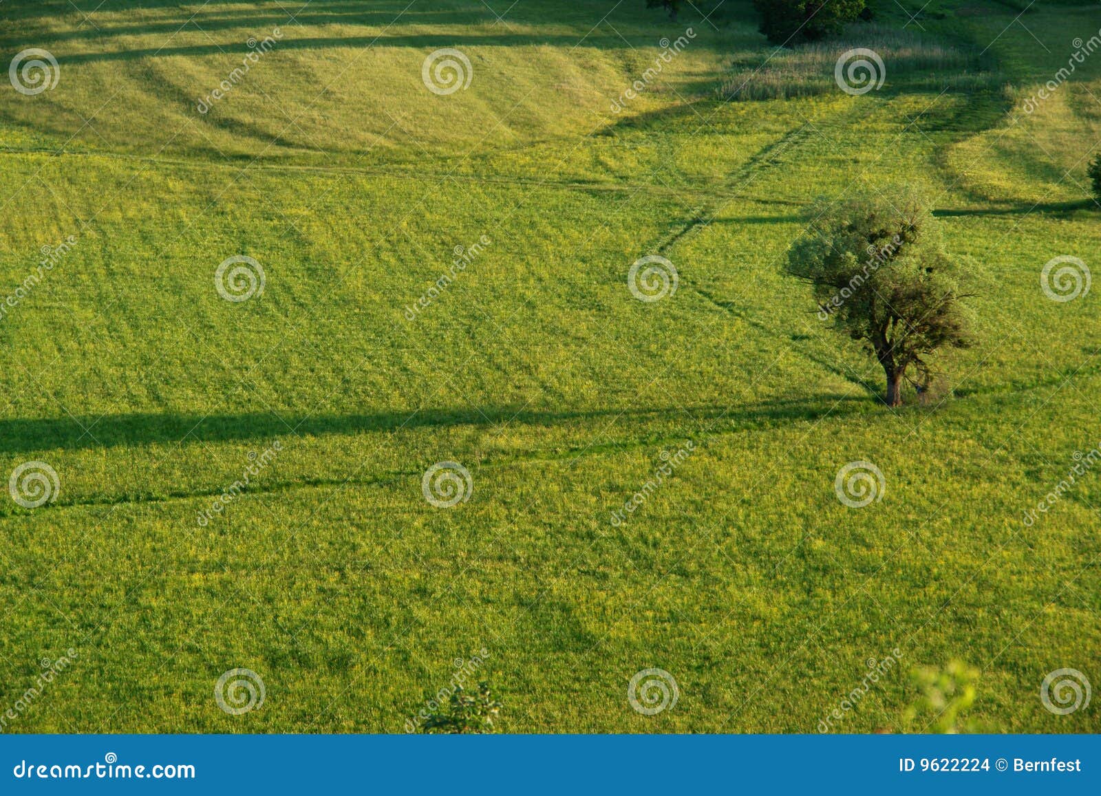 Fields in Spring stock photo. Image of horizon, park, agriculture - 9622224