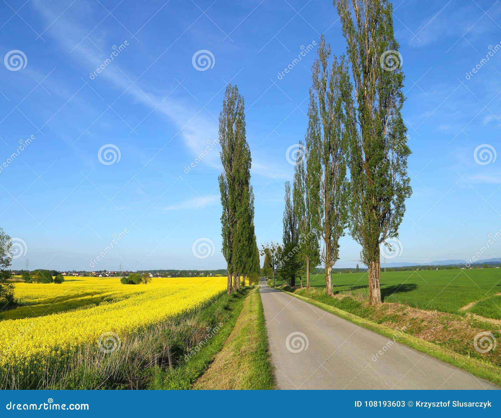 Fields in spring. stock image. Image of green, area - 108193603
