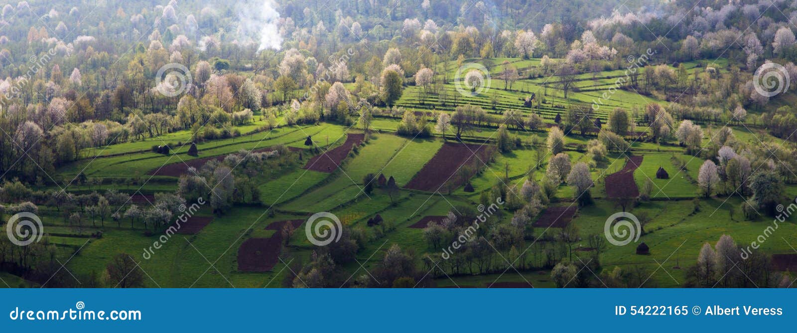 Fields in spring stock image. Image of beautiful, trees - 54222165