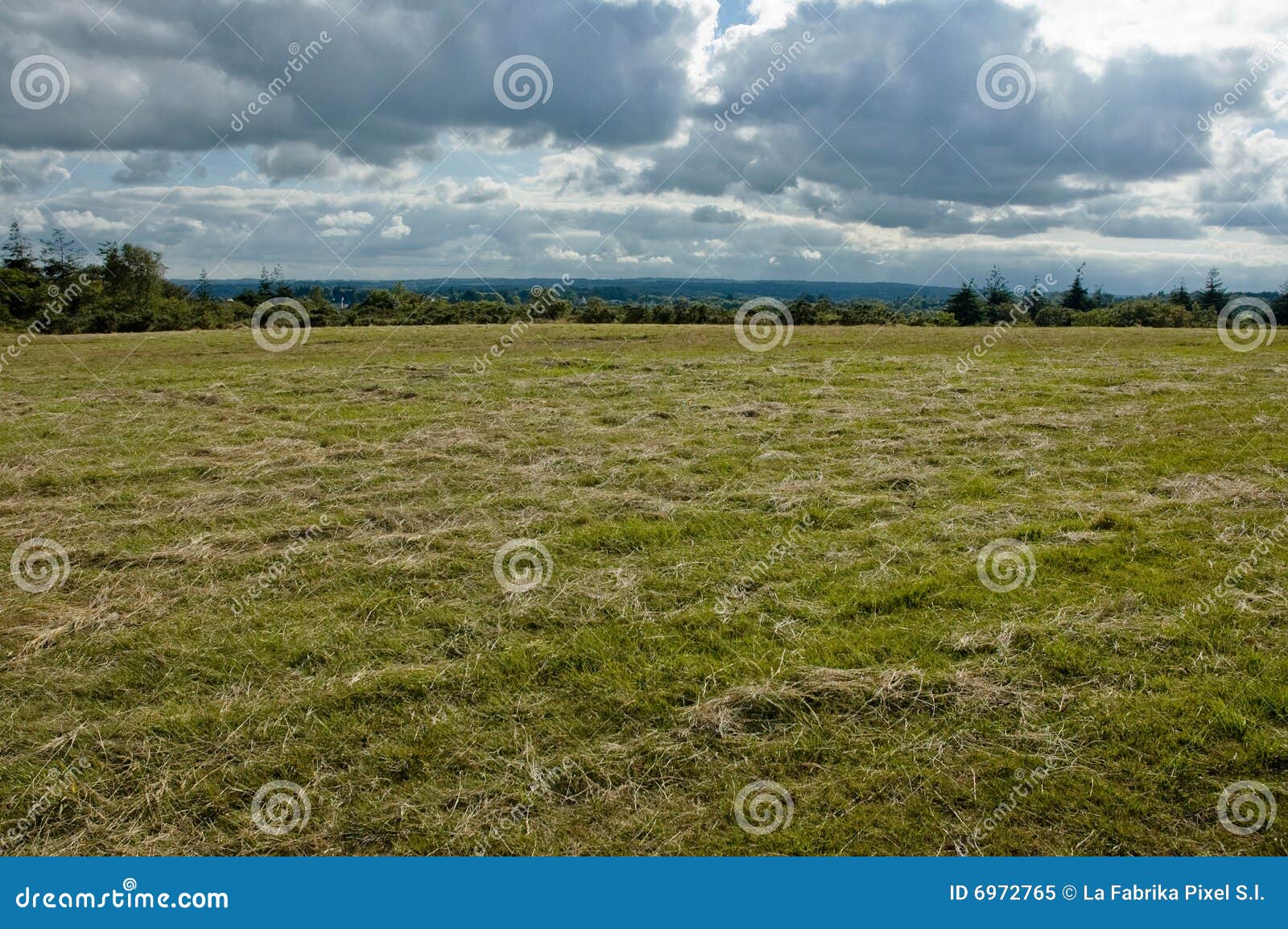 Fields on stormy weather stock image. Image of landscape - 6972765