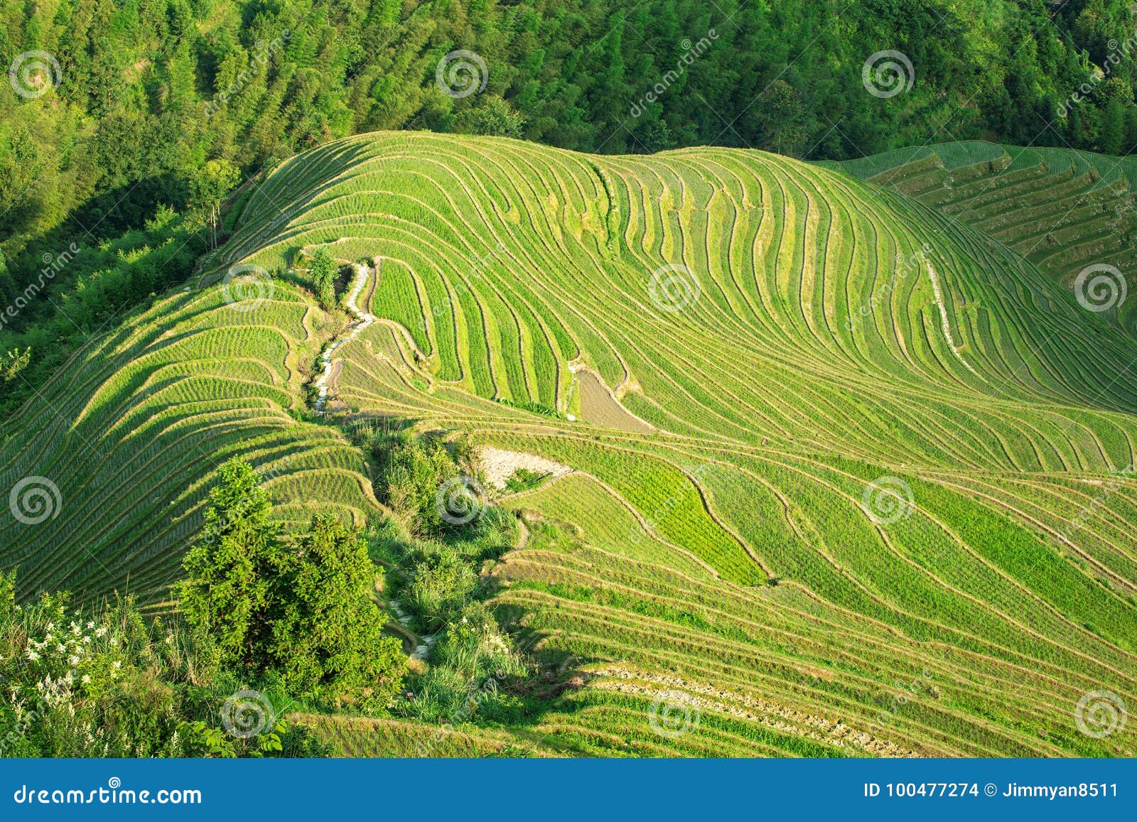Fields terraced стоковое фото. изображение насчитывающей холм - 100477274