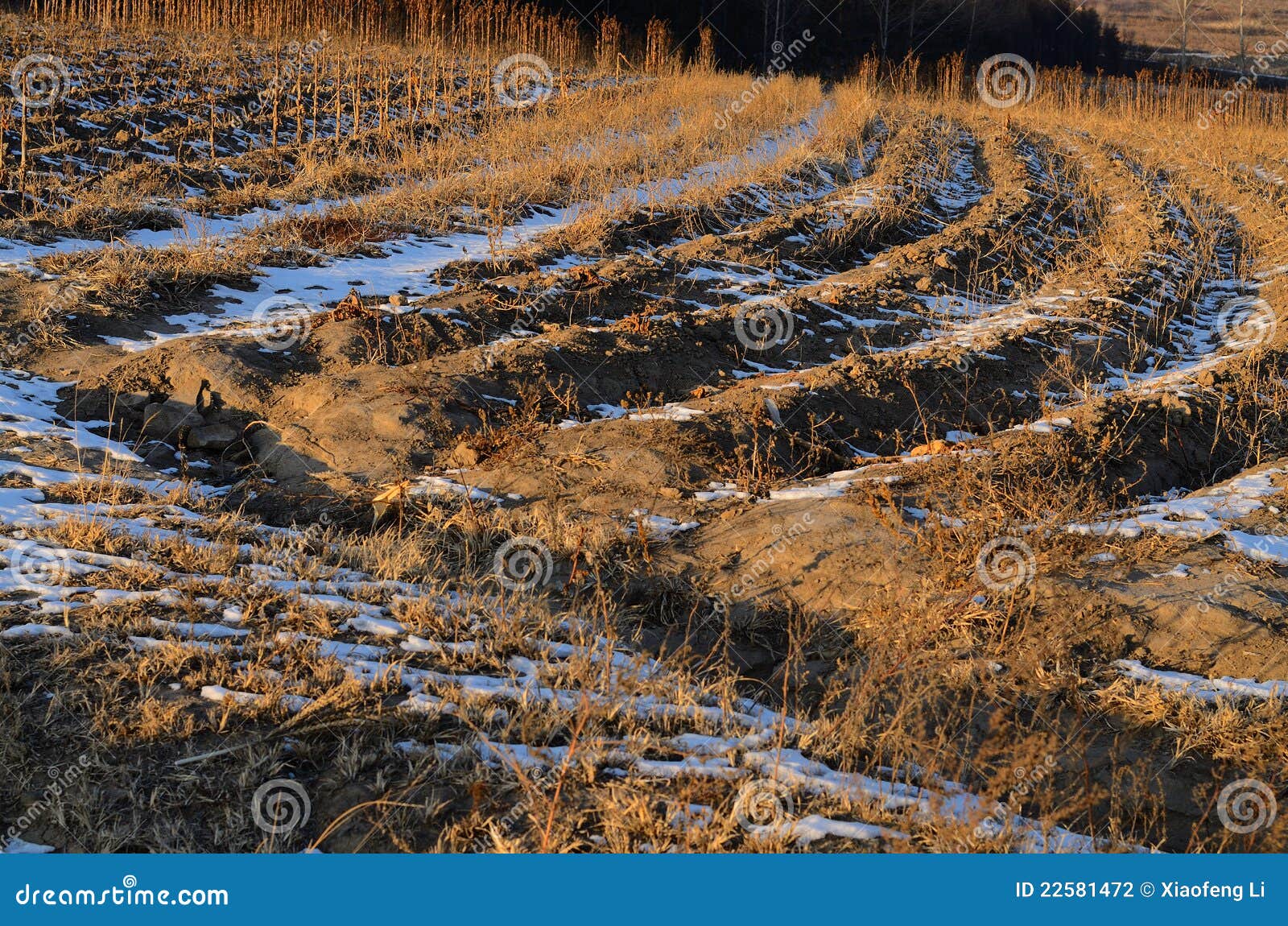 Fields Textures in Winter stock photo. Image of countryside - 22581472