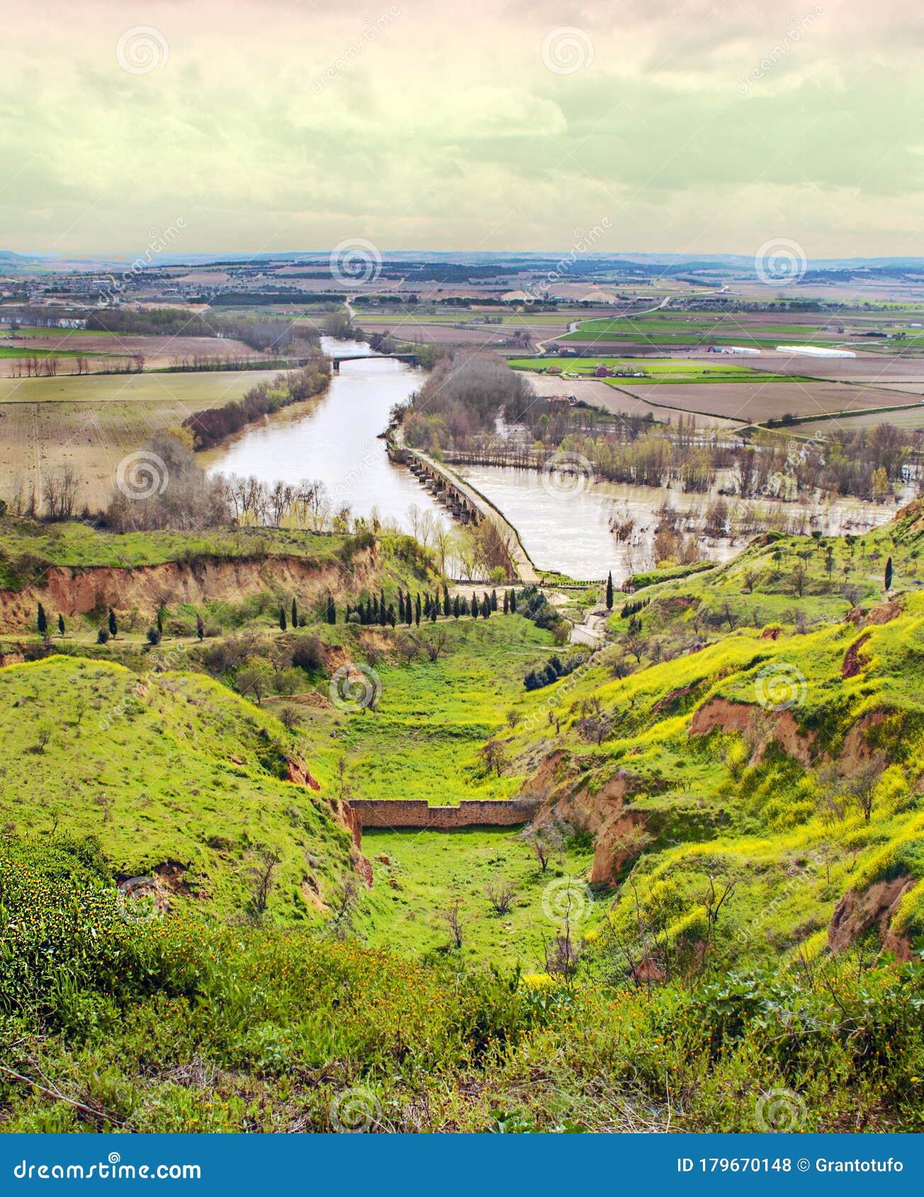 Fields of Toro stock photo. Image of holidays, europe - 179670148