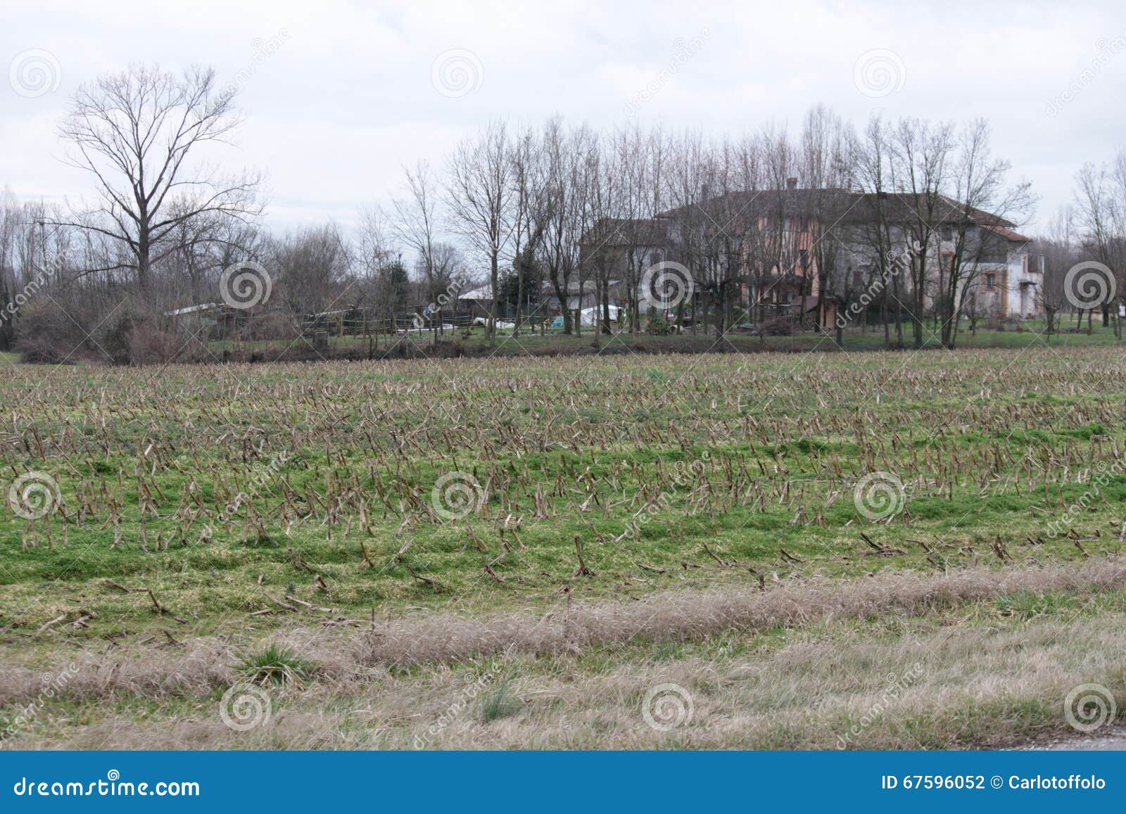 Fields stock photo. Image of trees, green, nature, clean - 67596052