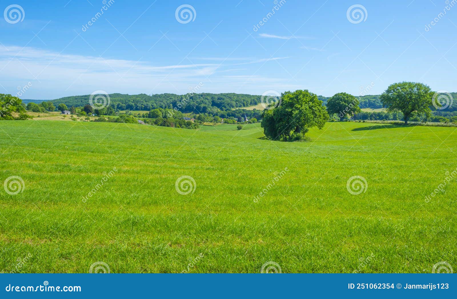 Fields and Trees in a Green Hilly Grassy Landscape Under a Blue Sky in ...