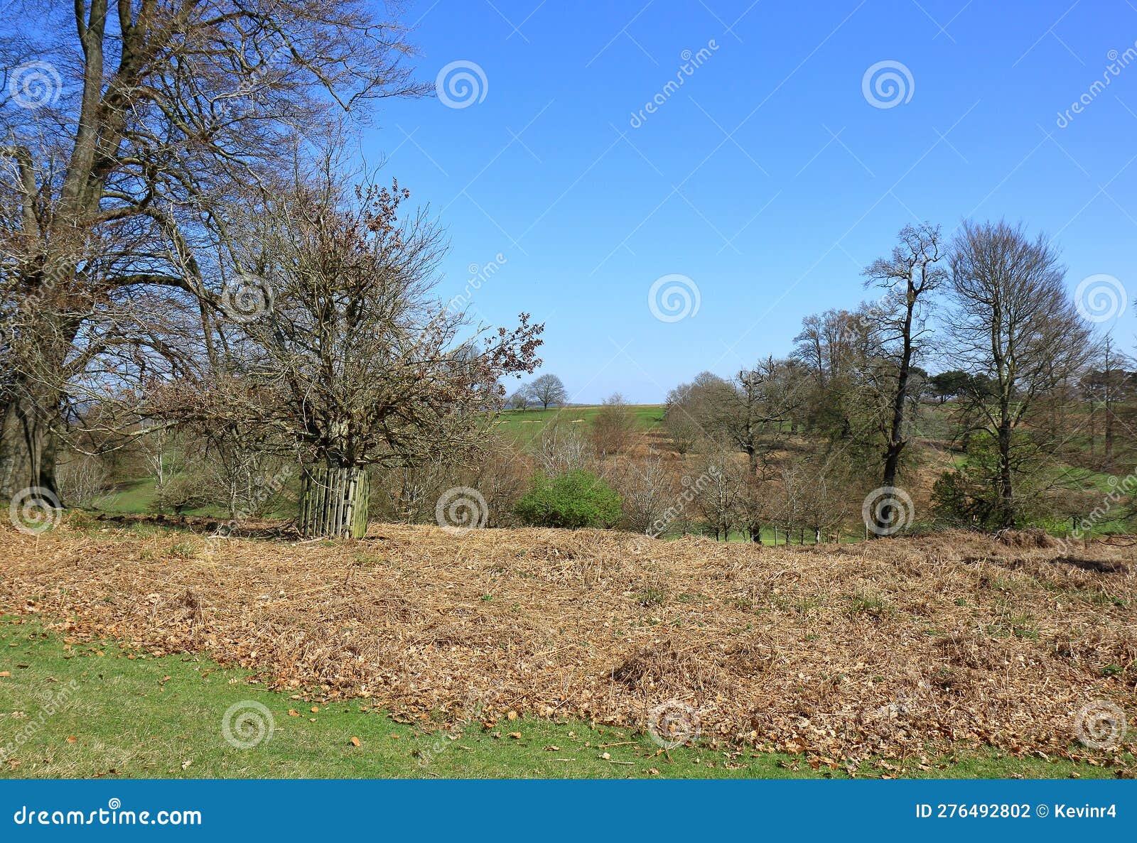 Fields and Trees in the Kent Countryside Stock Photo - Image of ...