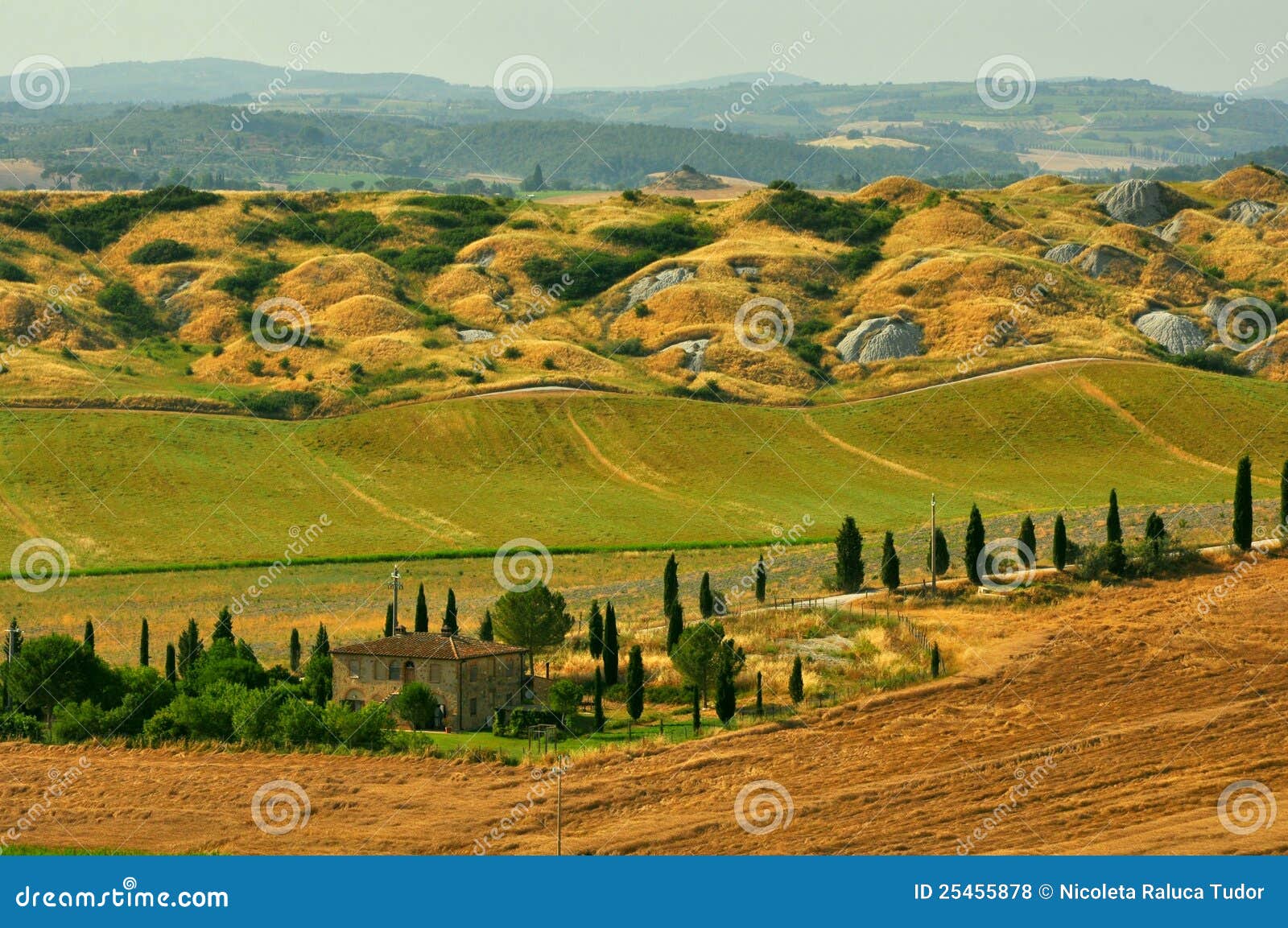 Fields in Tuscany, Italy stock photo. Image of horizon - 25455878