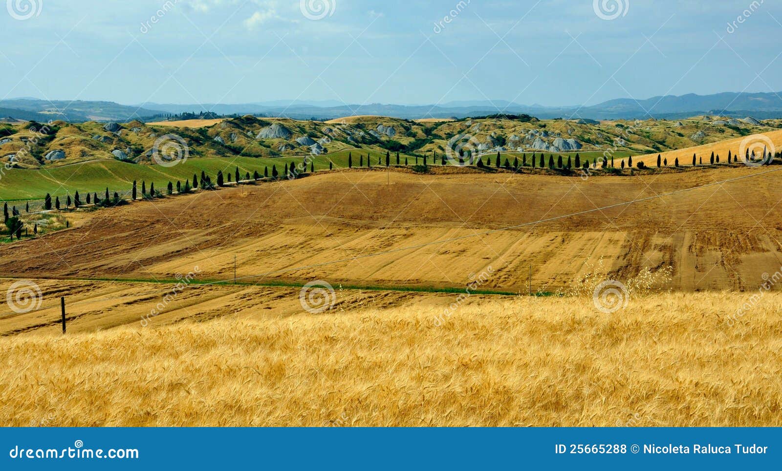 Fields in Tuscany, Italy stock photo. Image of autumn - 25665288