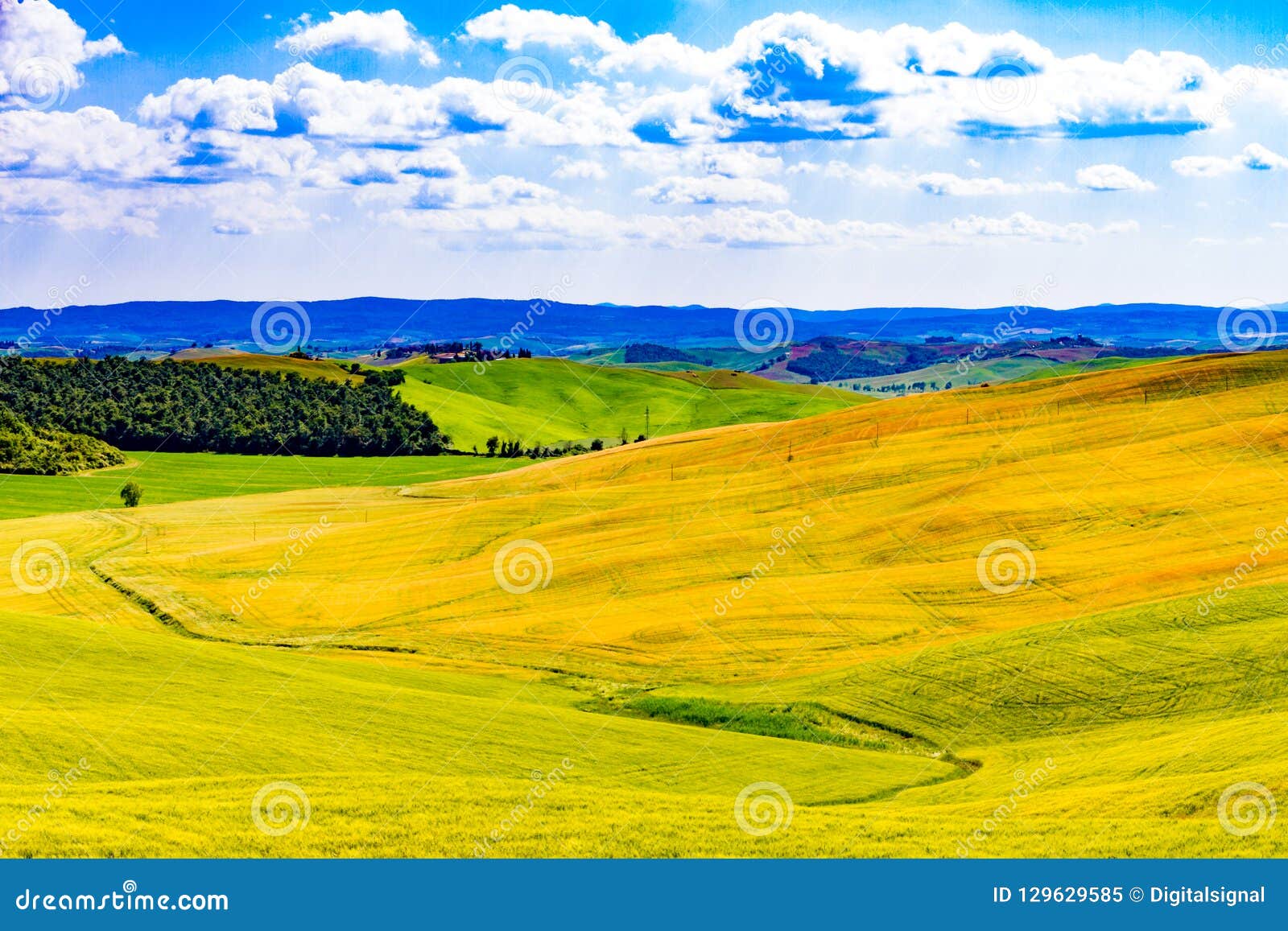 Fields in Tuscany, Italy stock image. Image of italian - 129629585
