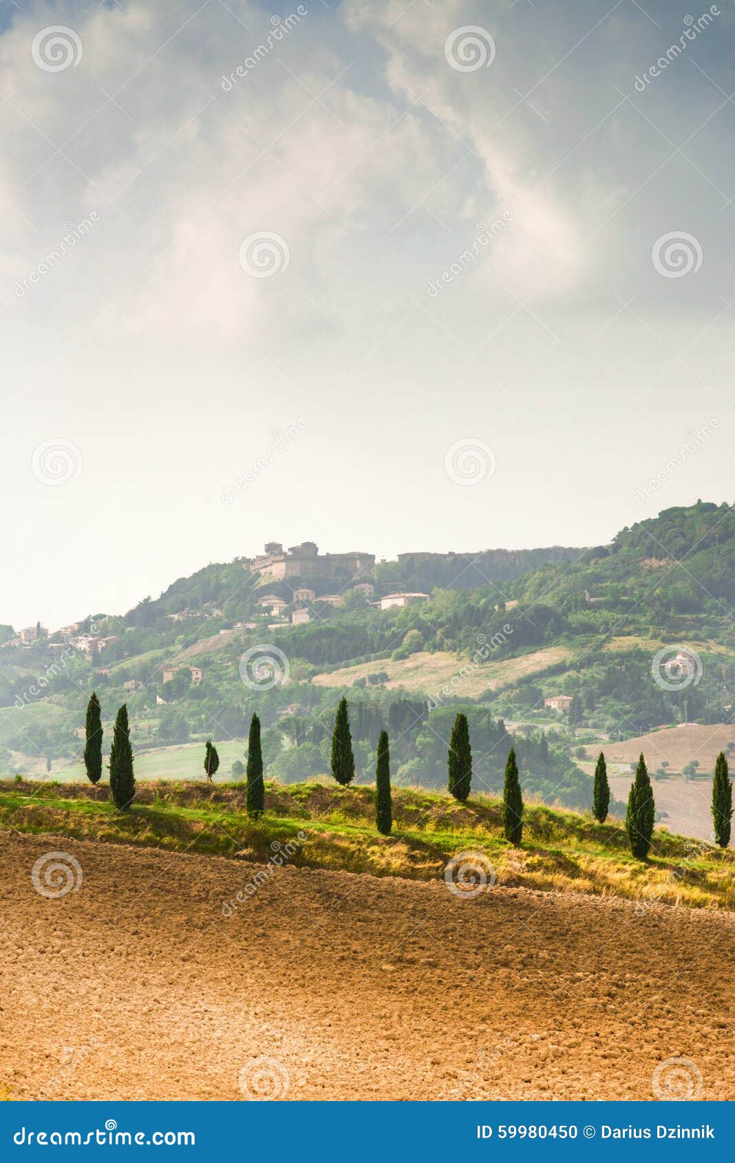 Fields in Tuscany stock photo. Image of grapevine, countryside - 59980450