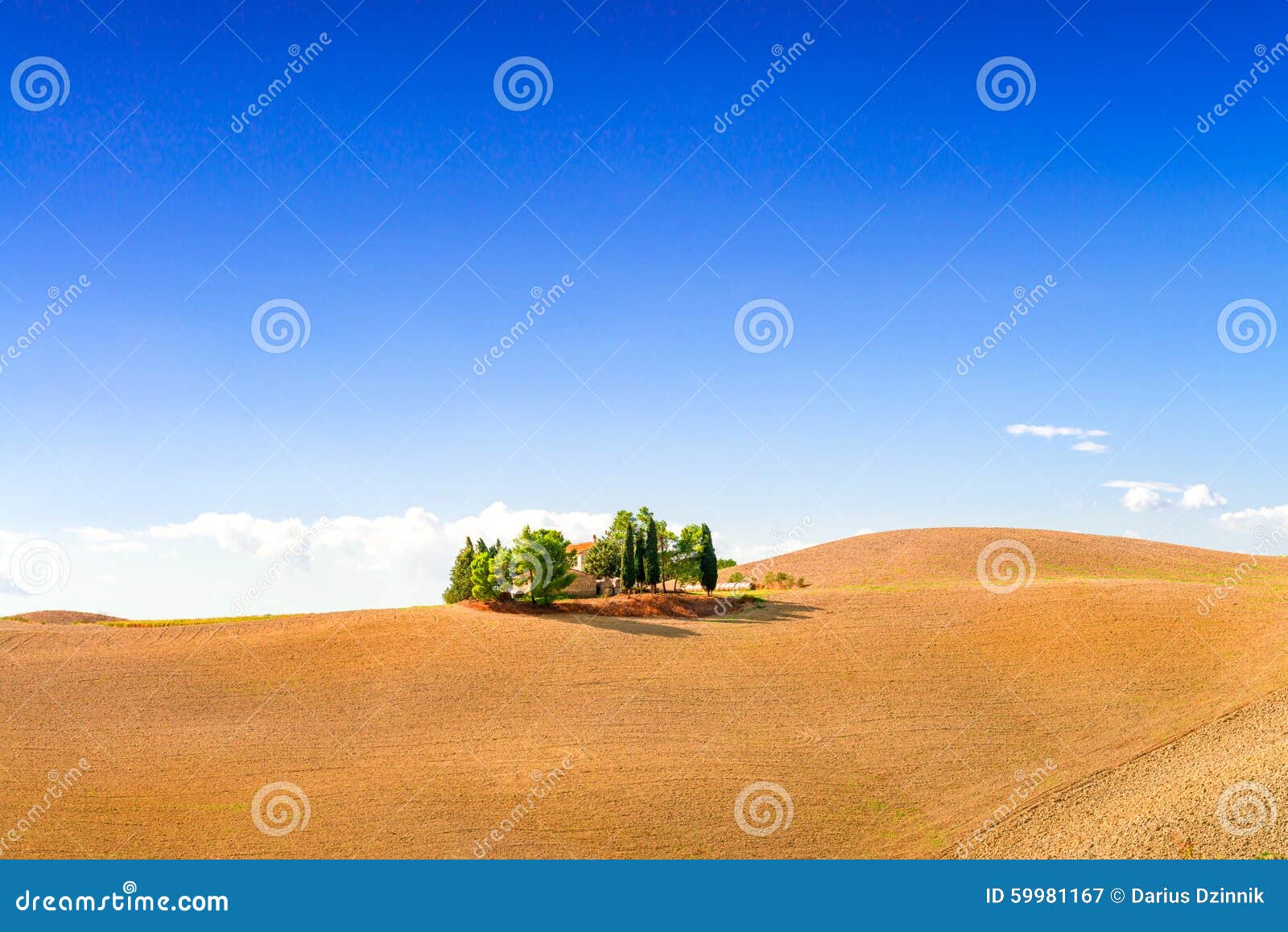 Fields in Tuscany stock image. Image of countryside, flora - 59981167