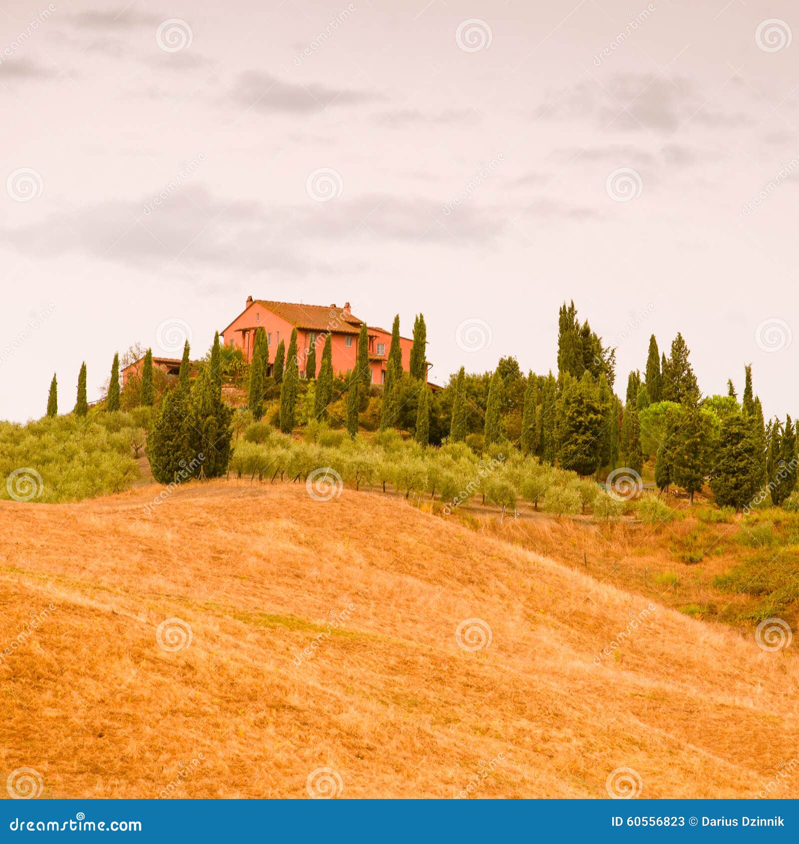 Fields in Tuscany stock image. Image of florence, blue - 60556823