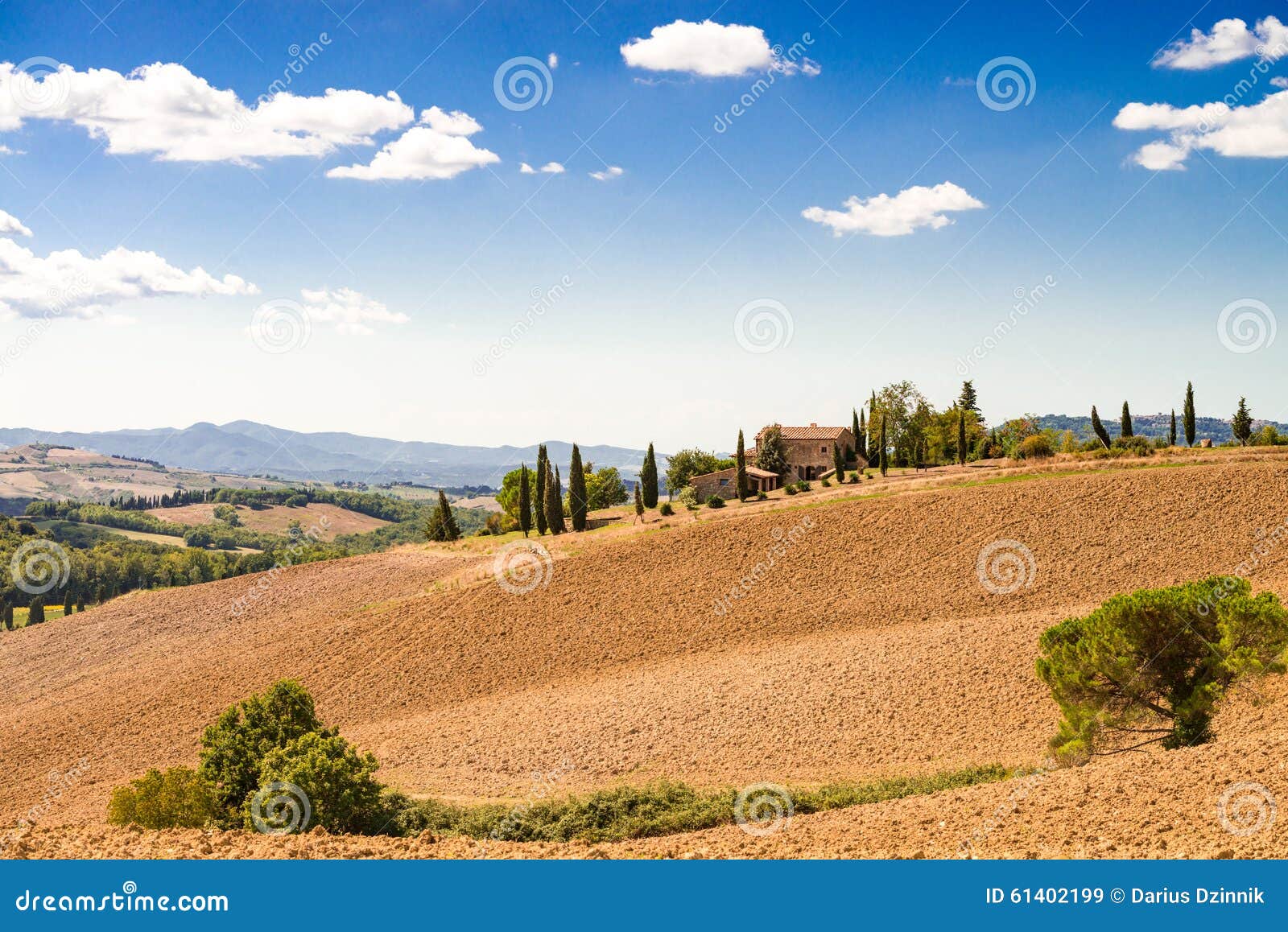 Fields in Tuscany stock image. Image of leaf, italy, fall - 61402199