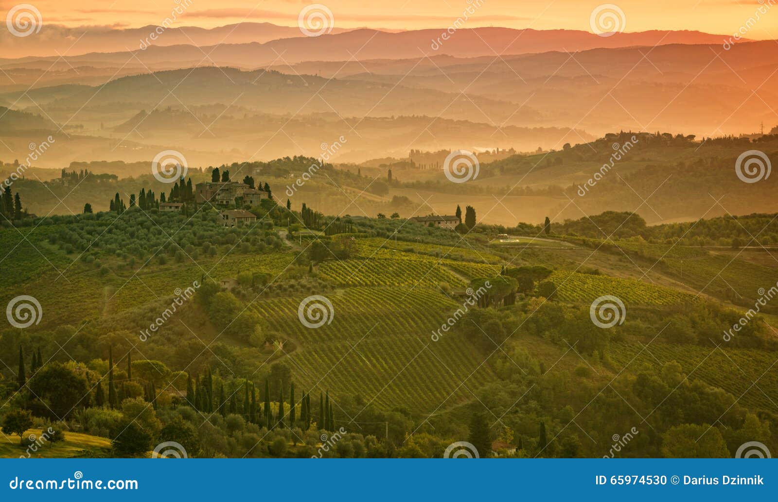 Fields in Tuscany stock photo. Image of cypress, hill - 65974530