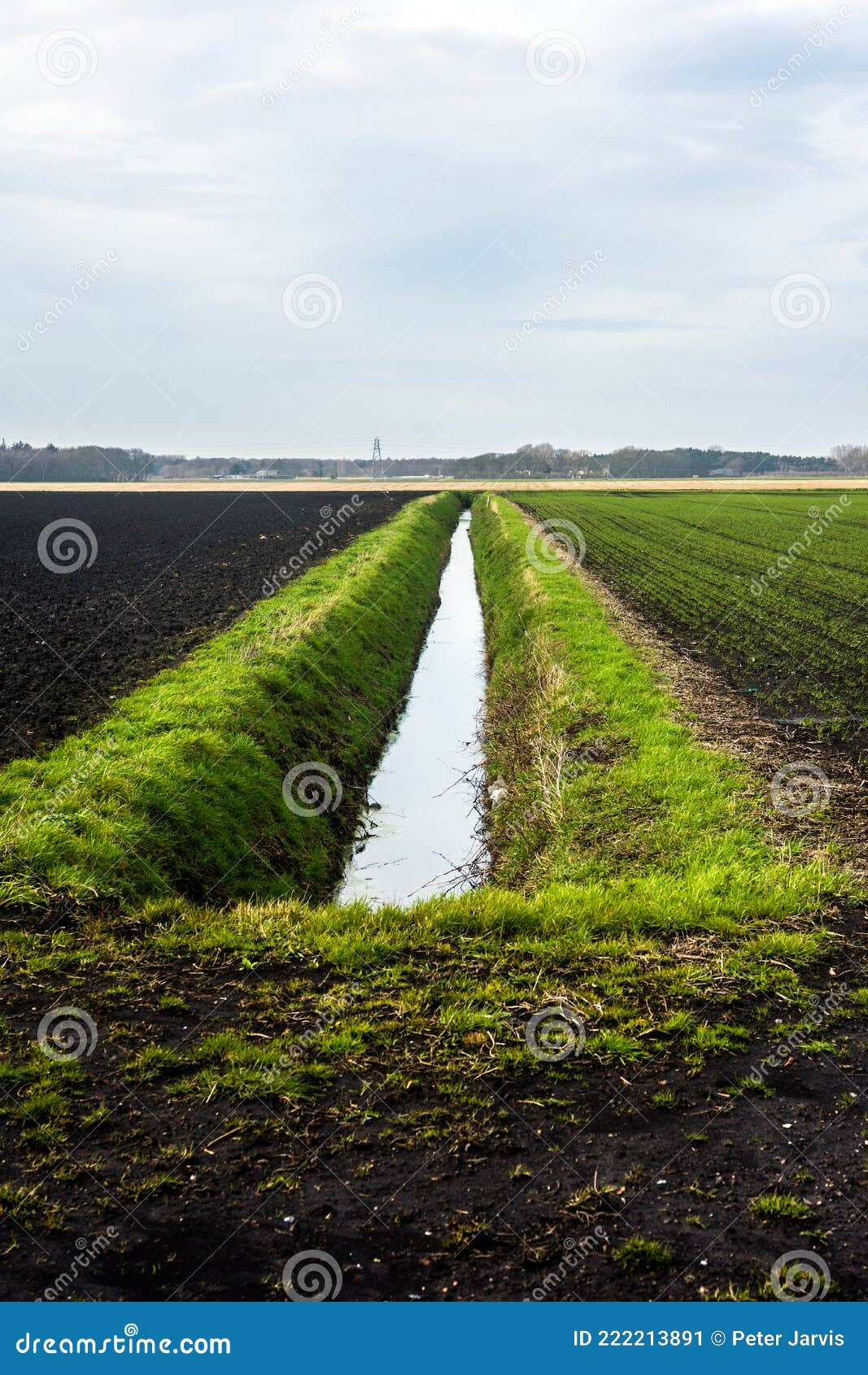 Fields in West Lancashire in Early Spring Stock Image - Image of green ...