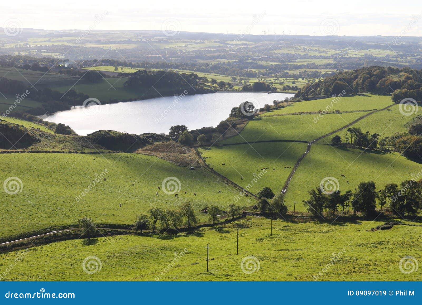 The Fields of West Lothian stock image. Image of west - 89097019