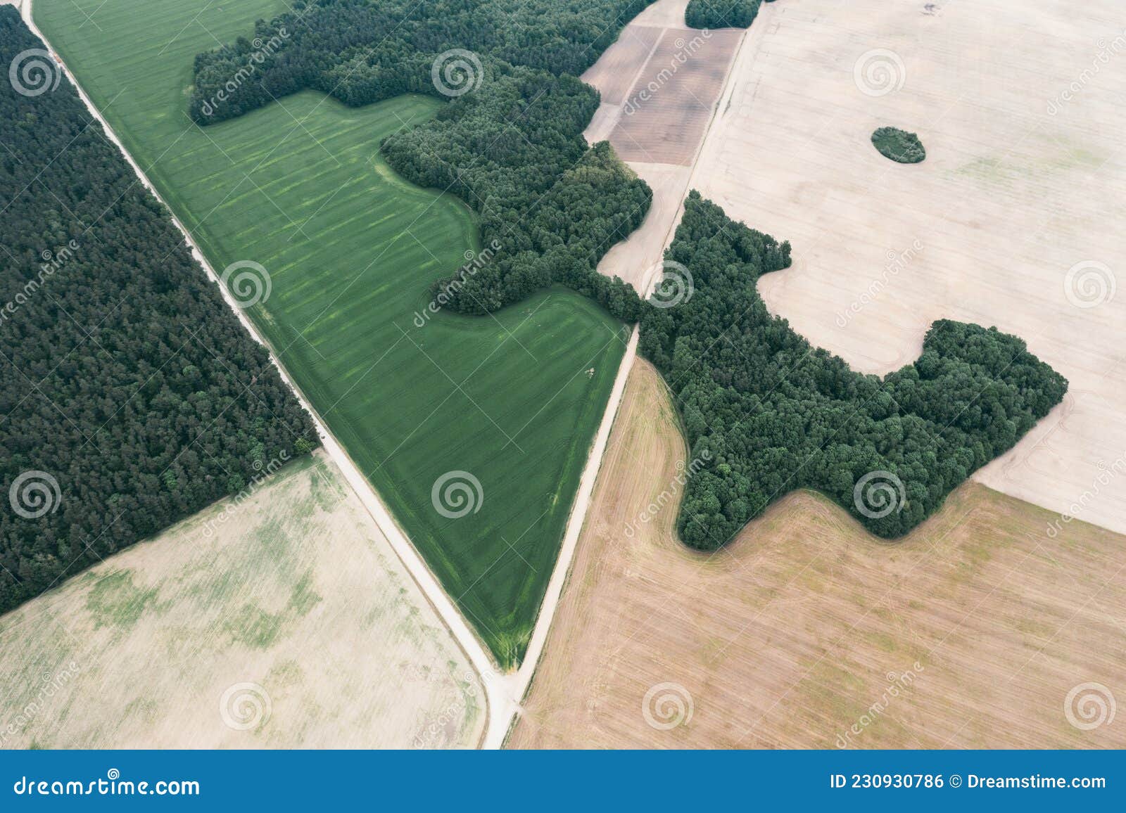 Fields with Wheat and Corn Which are Delimited by the Road Going To the ...