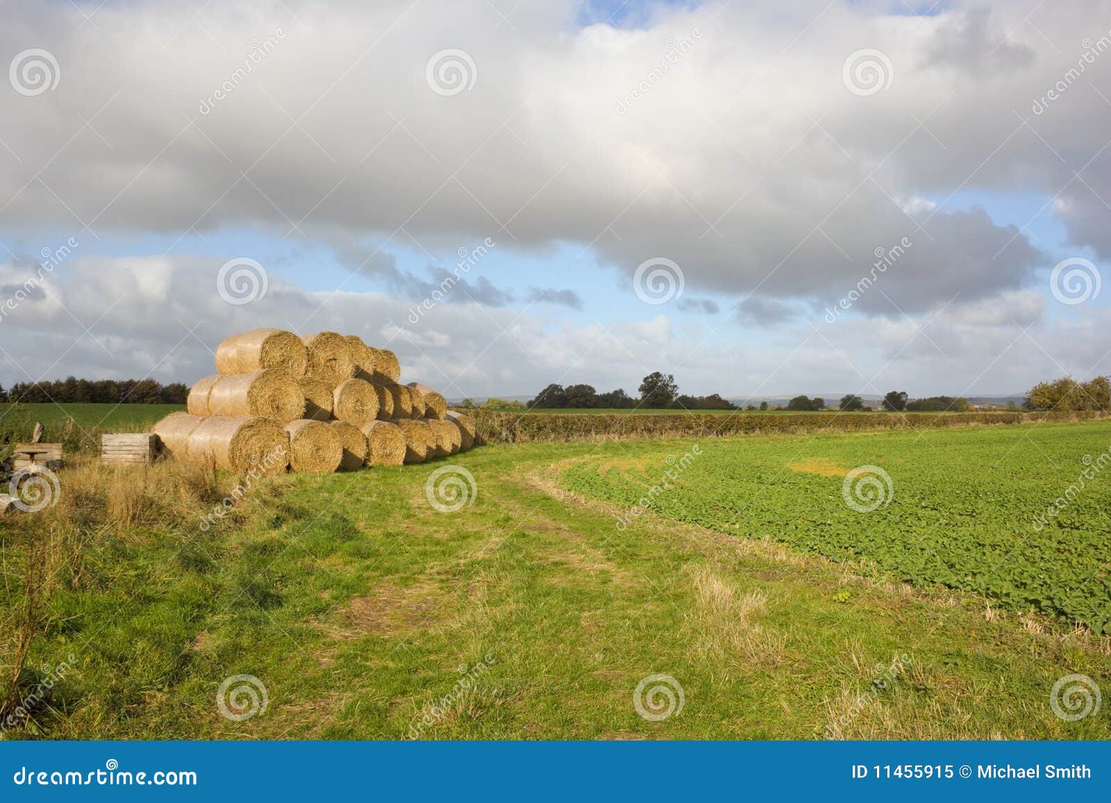 Fieldscape with Round Bales Stock Image - Image of blue, white: 11455915