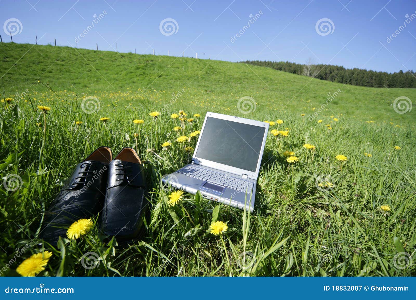 Fieldwork stock image. Image of office, flowers, countryside - 18832007