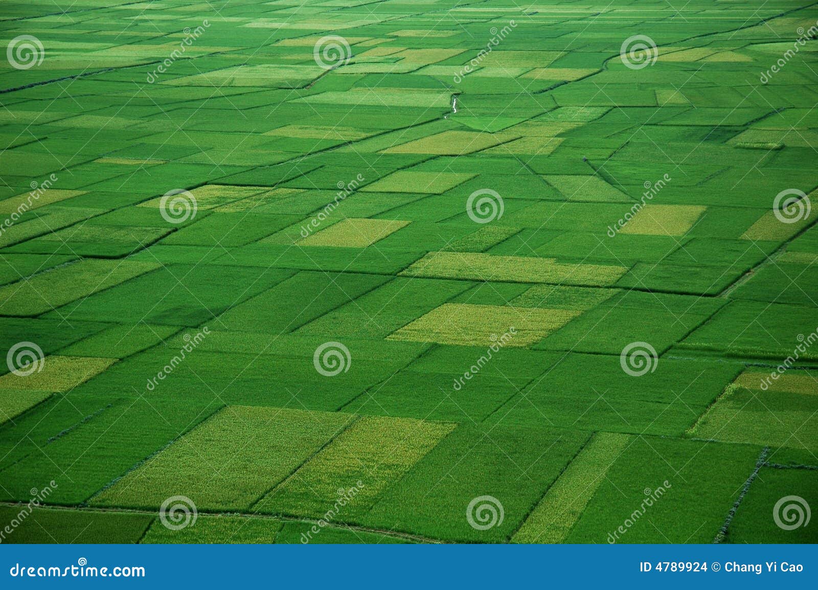 Fieldwork stock photo. Image of fieldwork, fields, food - 4789924