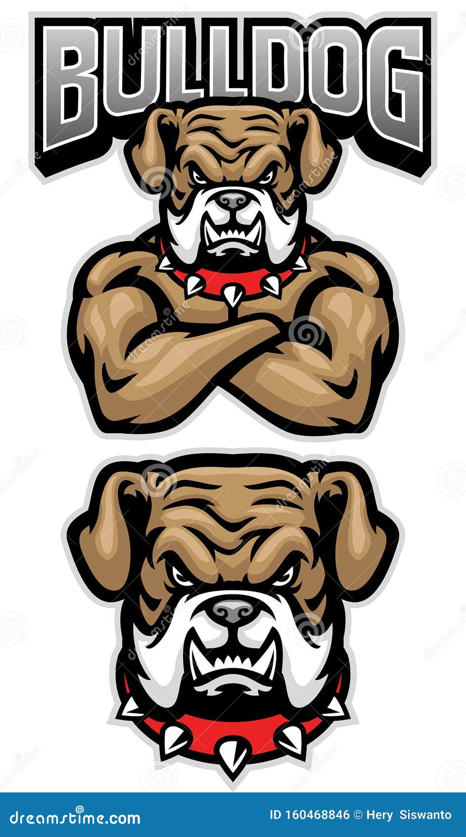Fierce Bulldog Mascot Crossed Arm Pose Stock Vector - Illustration of ...