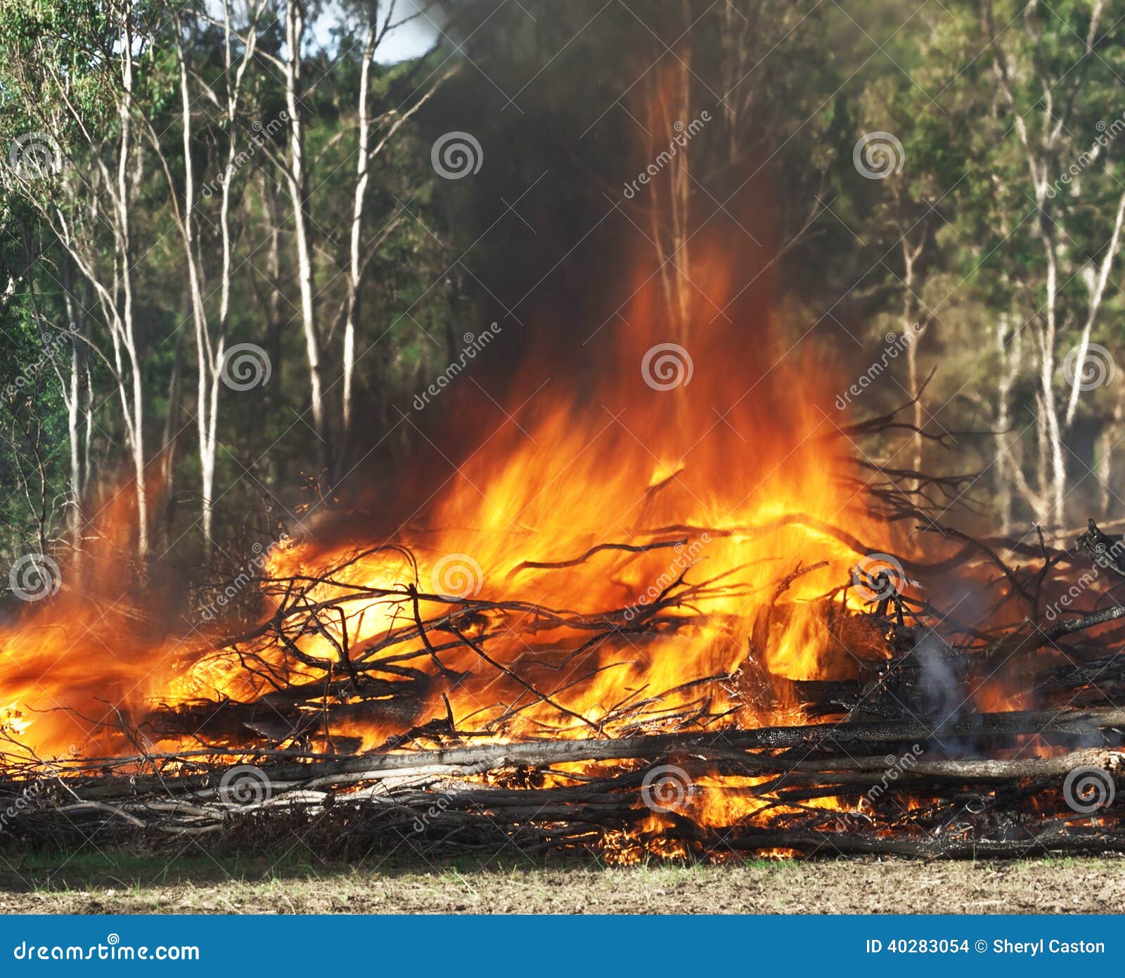 Fierce flames raging fire stock photo. Image of ferocity - 40283054