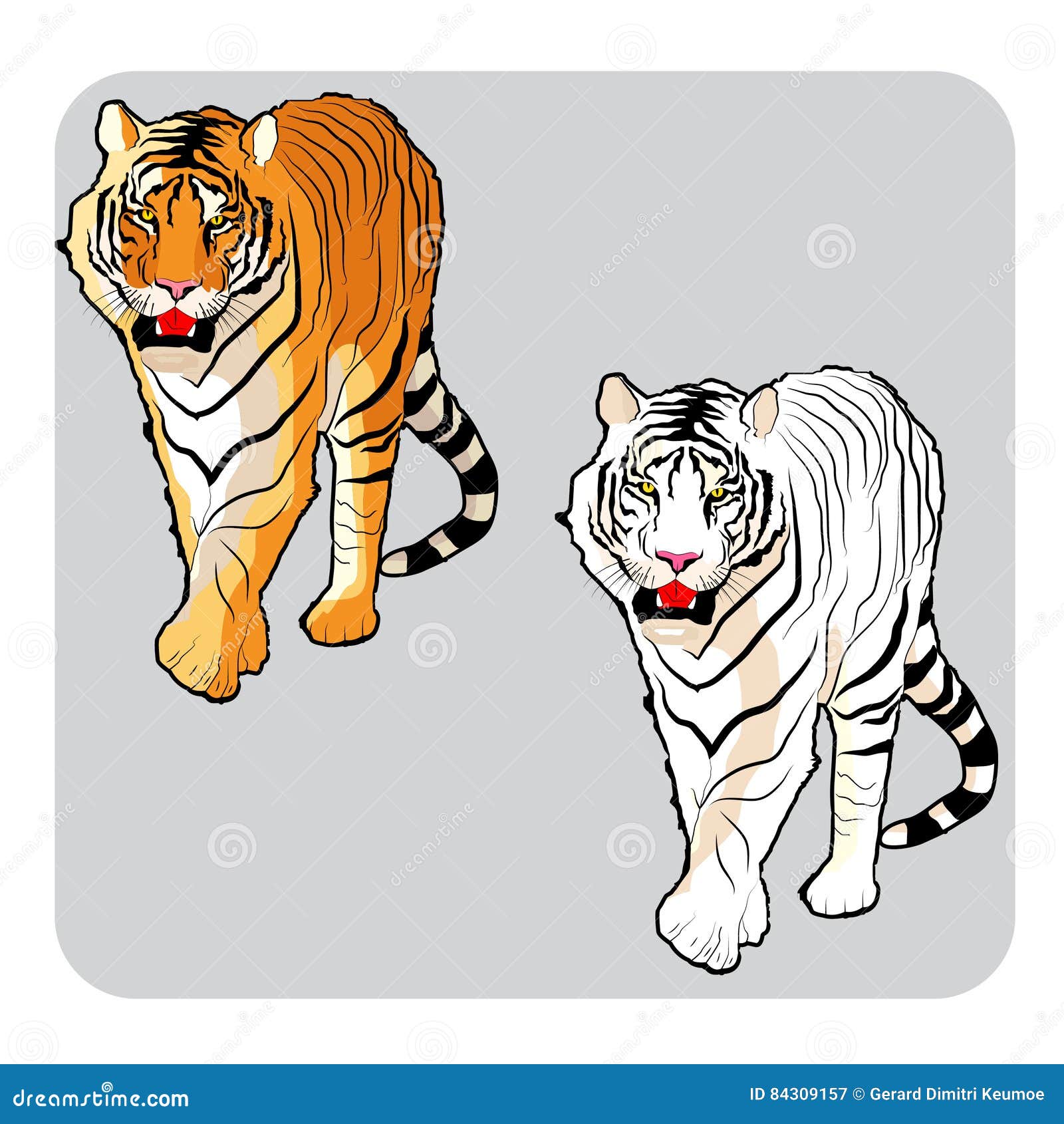 Fierce looking tiger stock vector. Illustration of hunting - 84309157