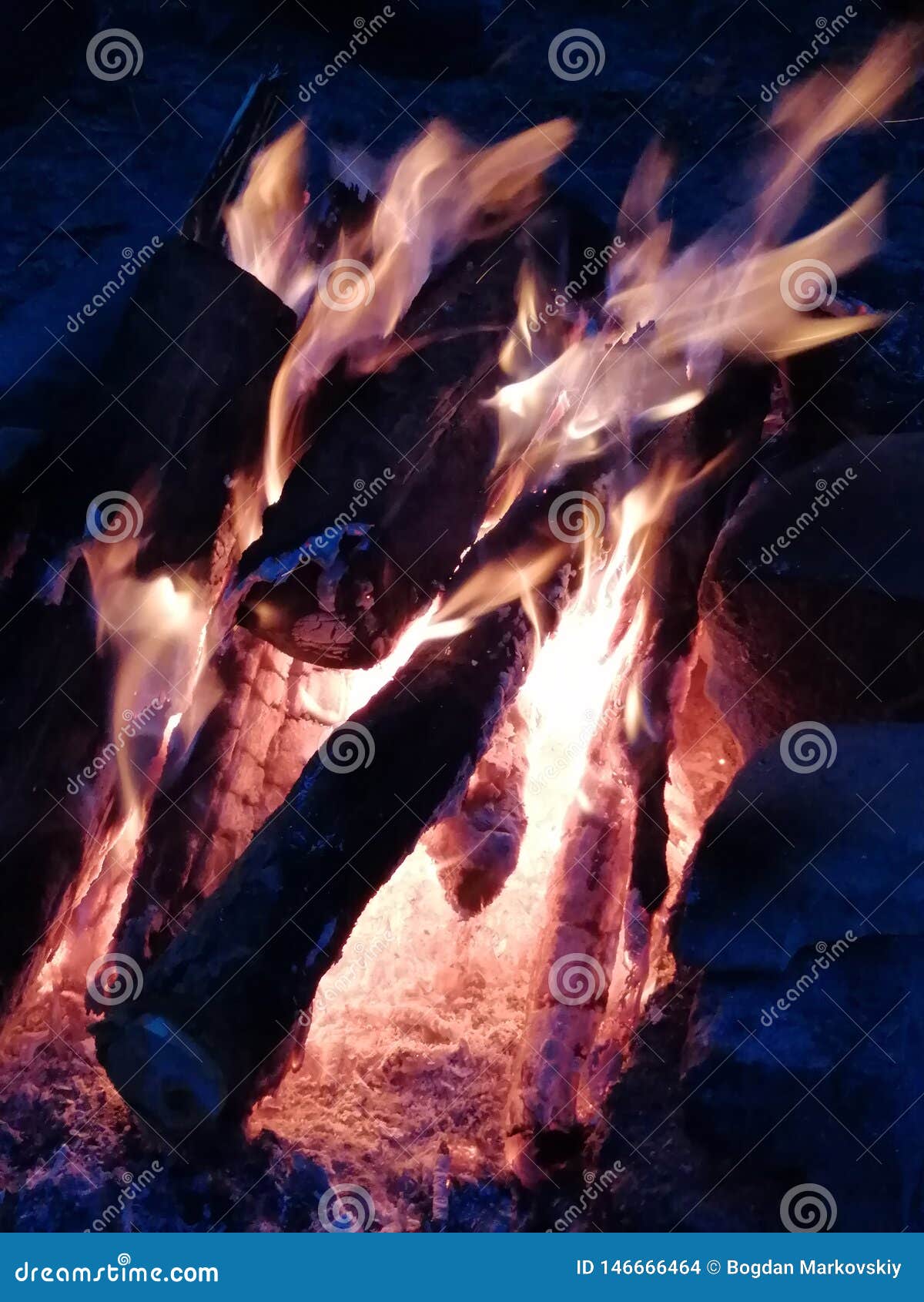Fiery beauty stock photo. Image of beauty, fiery, bonfire - 146666464