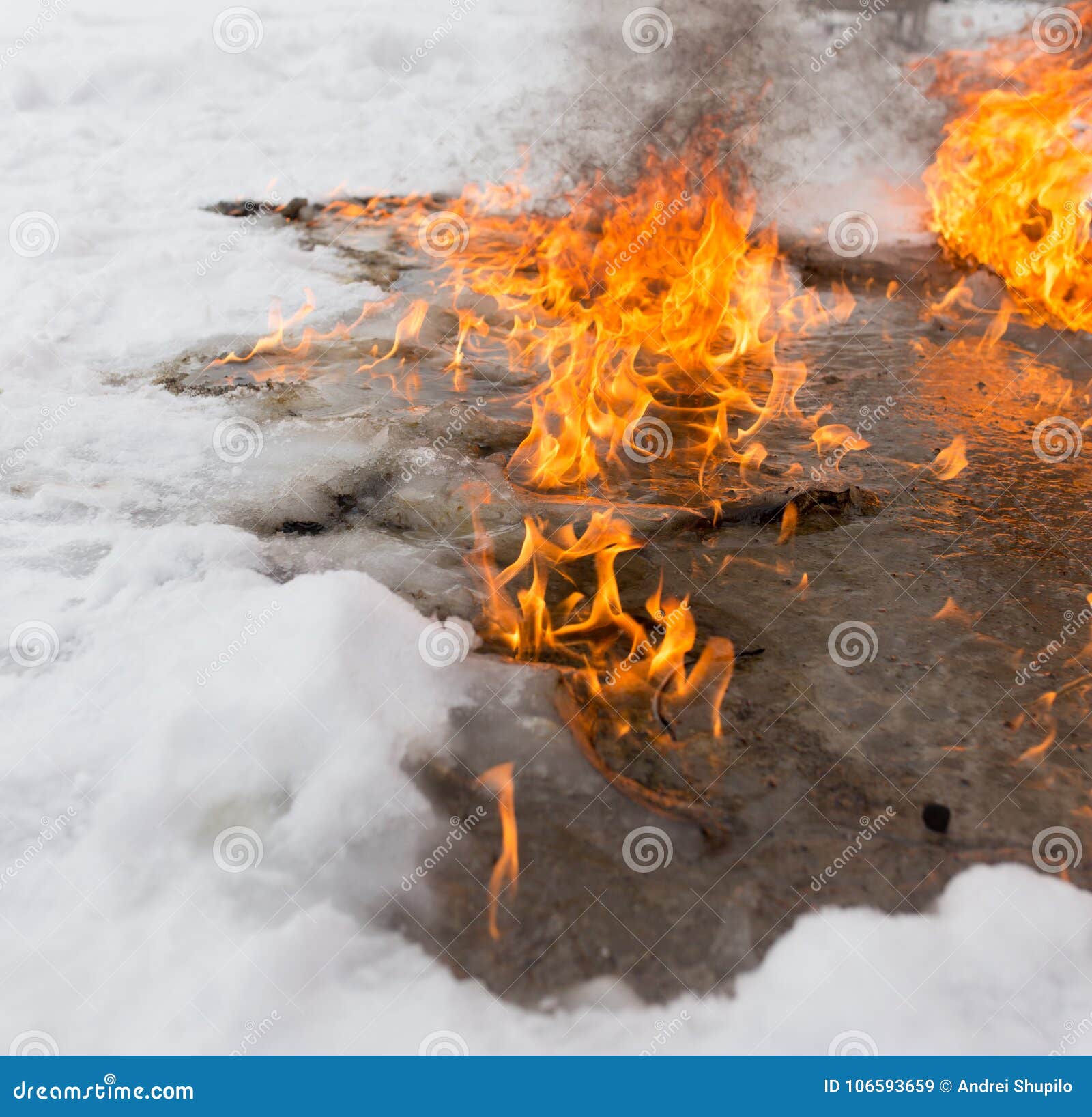 Fiery Flame on the White Snow in Winter Stock Image - Image of ...