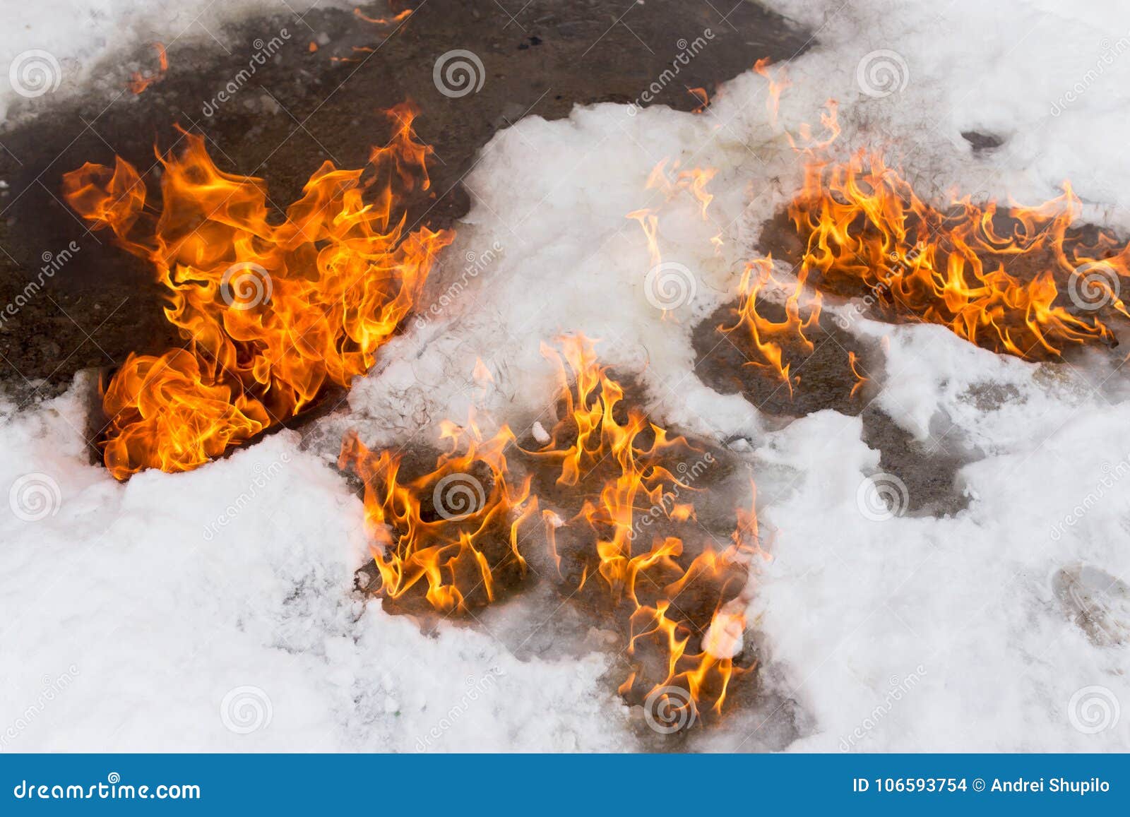 Fiery Flame on the White Snow in Winter Stock Photo - Image of heat ...
