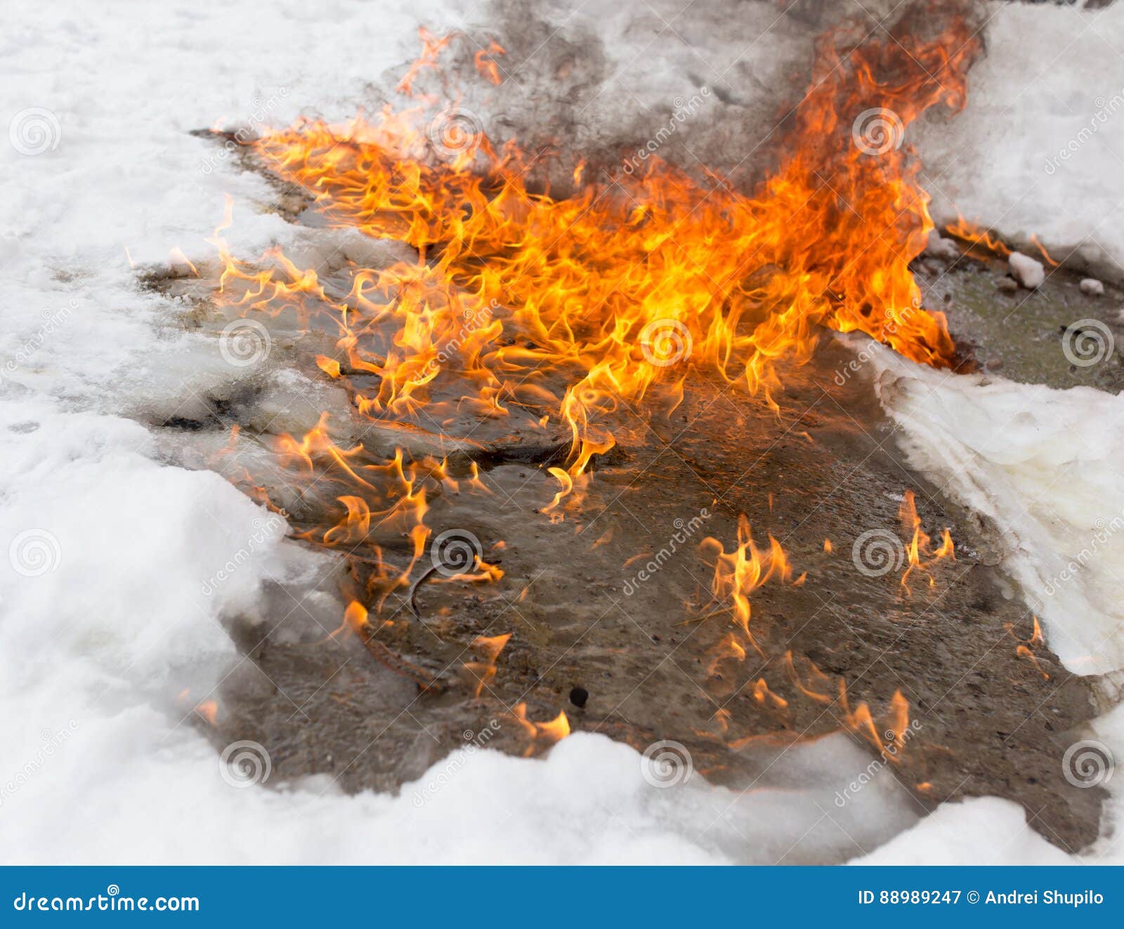 Fiery Flame on the White Snow in Winter Stock Image - Image of nature ...