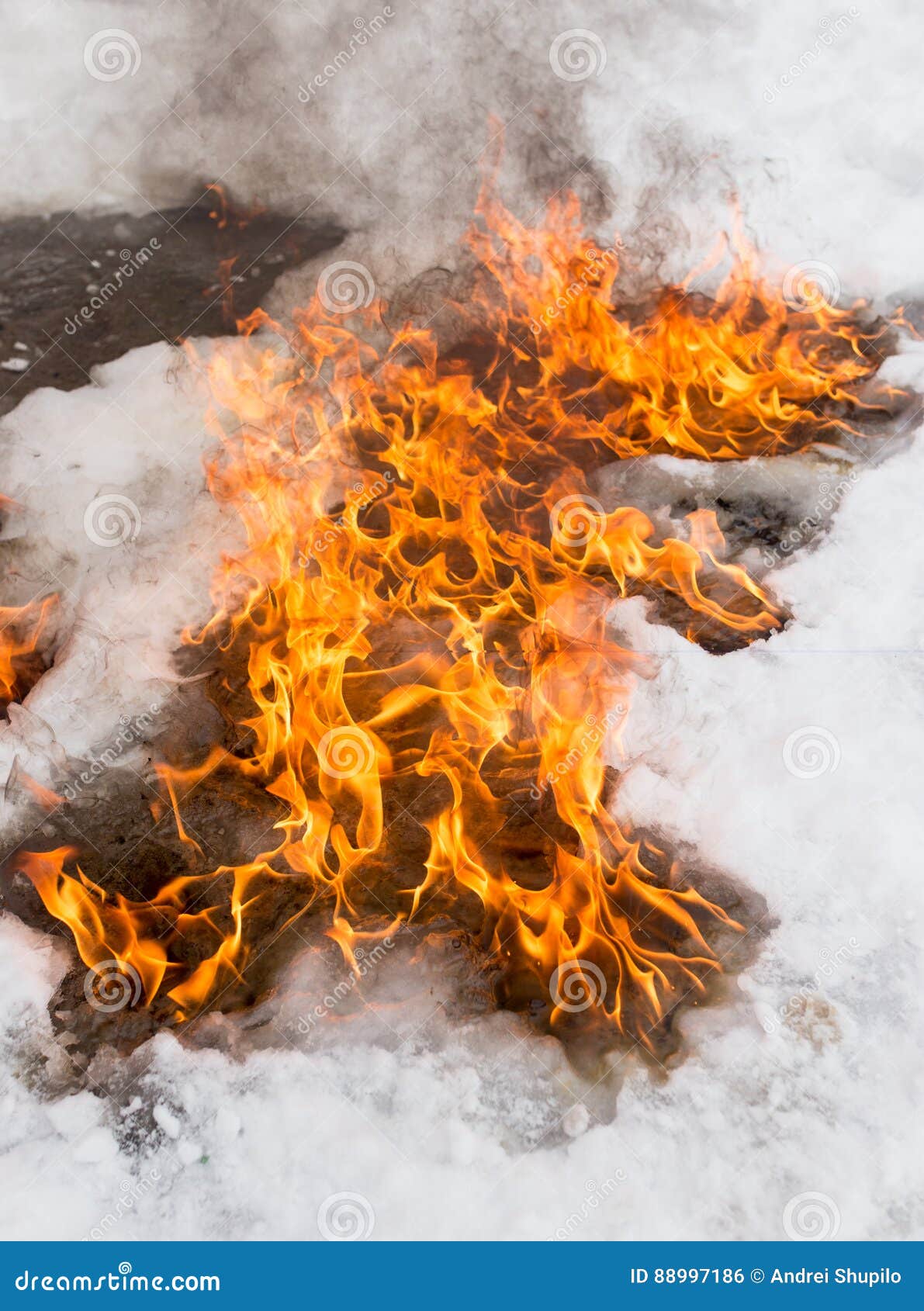 Fiery Flame on the White Snow in Winter Stock Photo - Image of nature ...