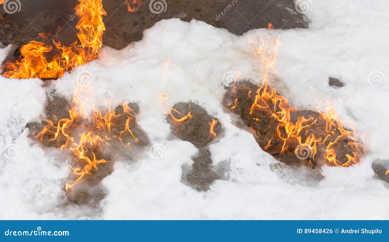 Fiery Flame on the White Snow in Winter Stock Photo - Image of ...