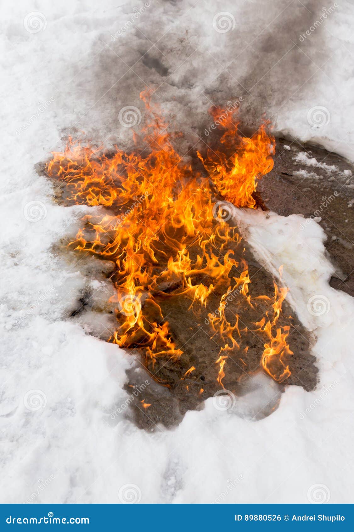 Fiery Flame on the White Snow in Winter Stock Photo - Image of science ...