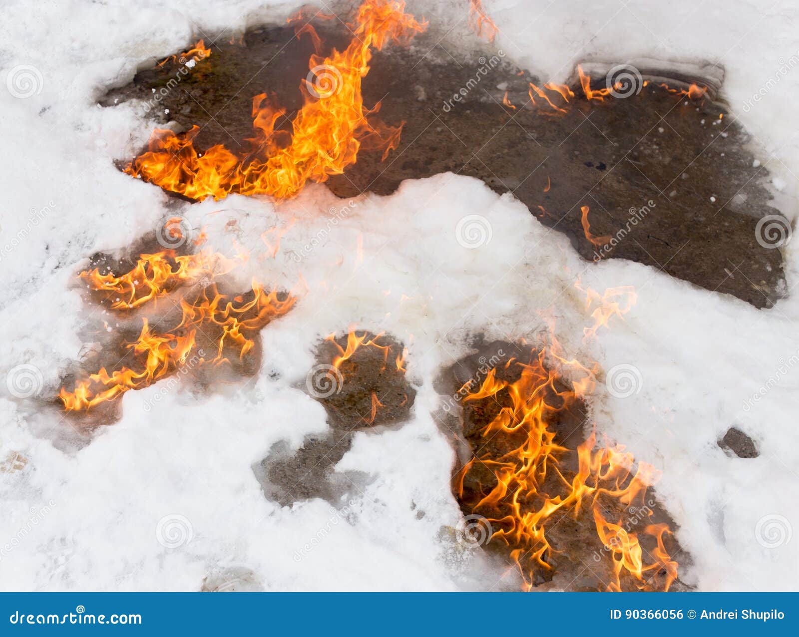 Fiery Flame on the White Snow in Winter Stock Photo - Image of fuel ...
