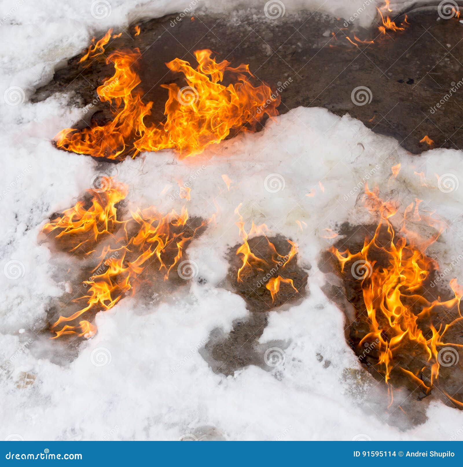 Fiery Flame on the White Snow in Winter Stock Photo - Image of fire ...