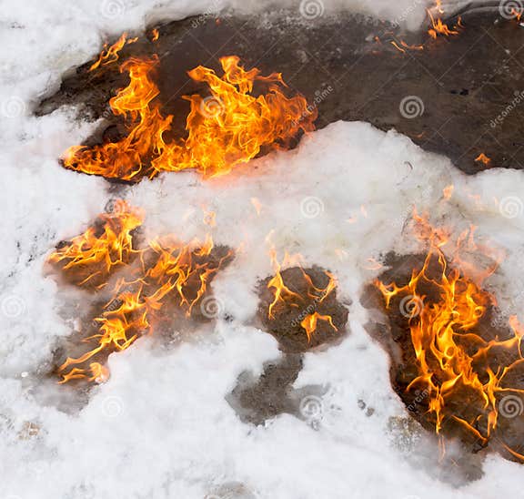 Fiery Flame on the White Snow in Winter Stock Photo - Image of fire ...