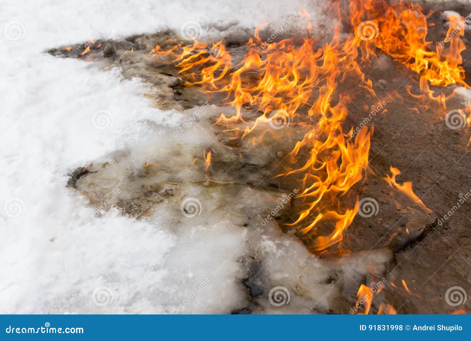 Fiery Flame on the White Snow in Winter Stock Photo - Image of water ...