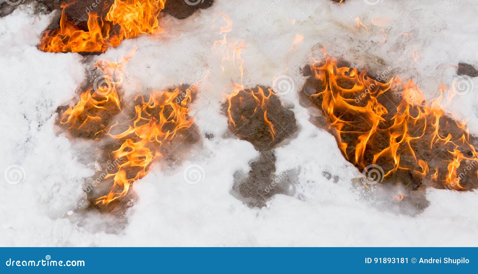 Fiery Flame on the White Snow in Winter Stock Image - Image of flame ...