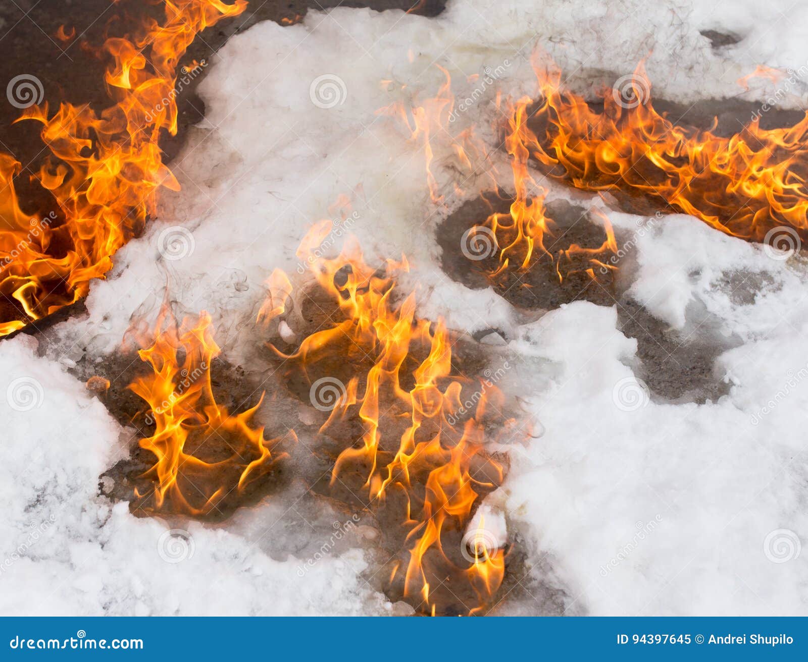Fiery Flame on the White Snow in Winter Stock Image - Image of winter ...