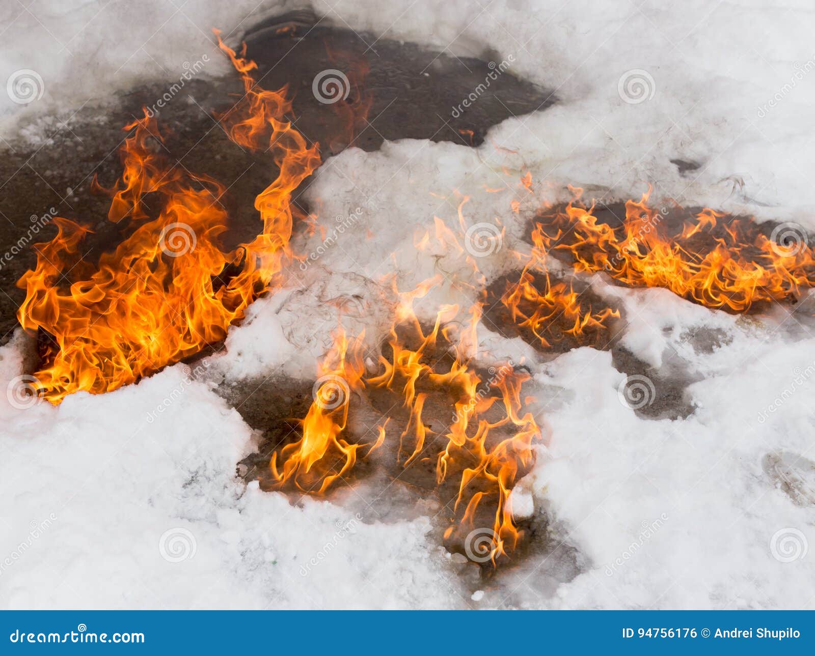Fiery Flame on the White Snow in Winter Stock Photo - Image of nature ...