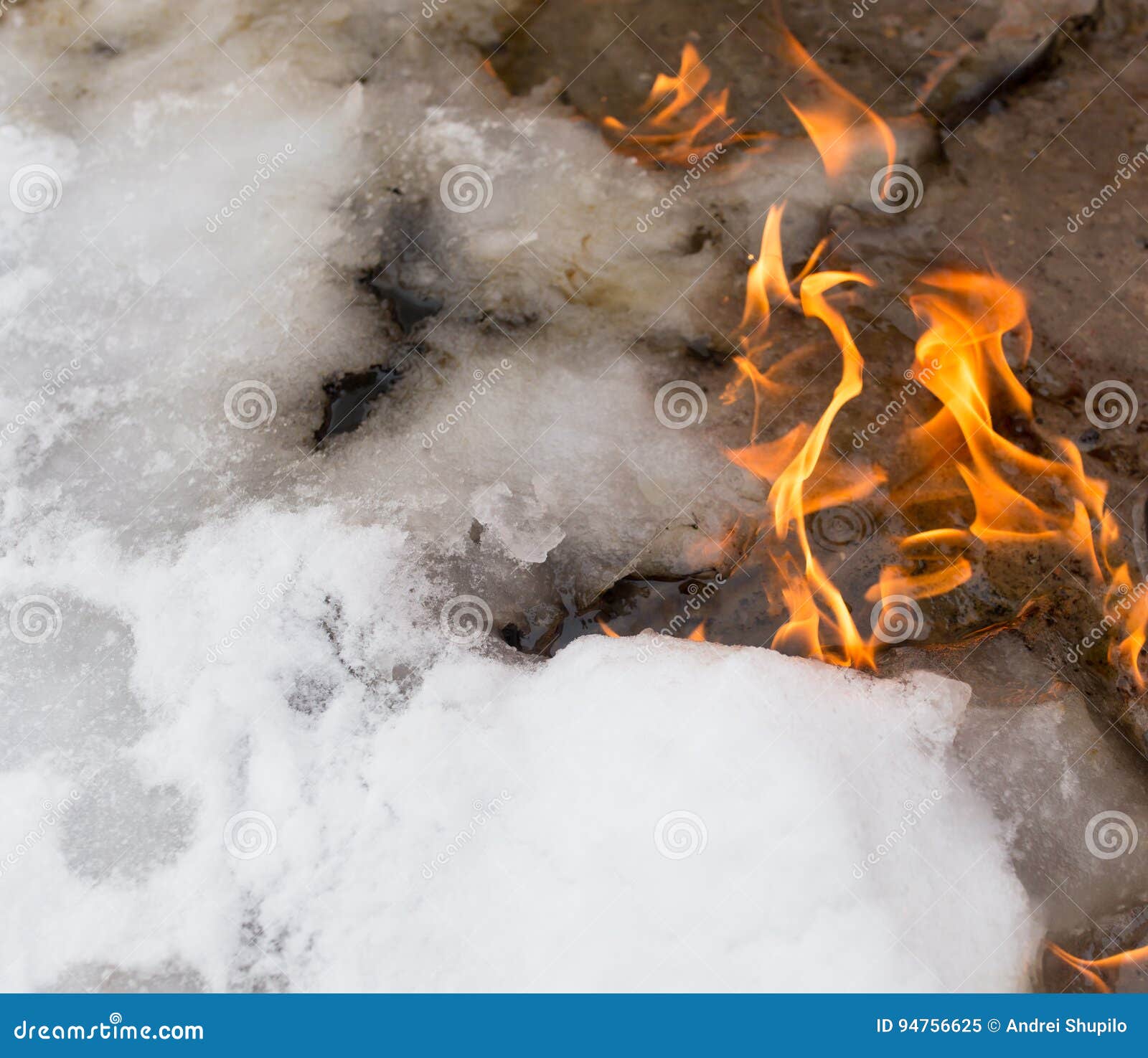Fiery Flame on the White Snow in Winter Stock Image - Image of snow ...