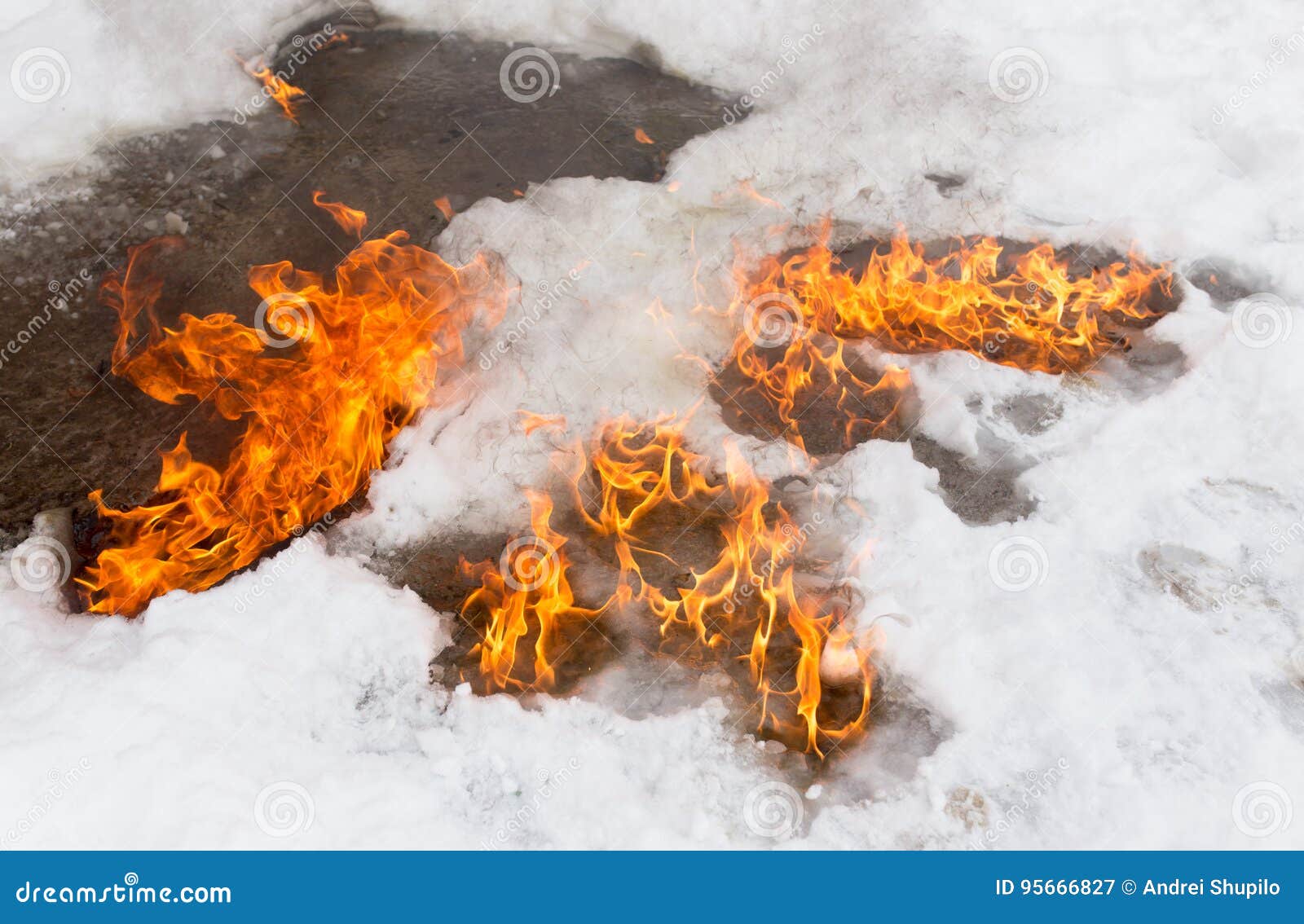 Fiery Flame on the White Snow in Winter Stock Image - Image of snow ...