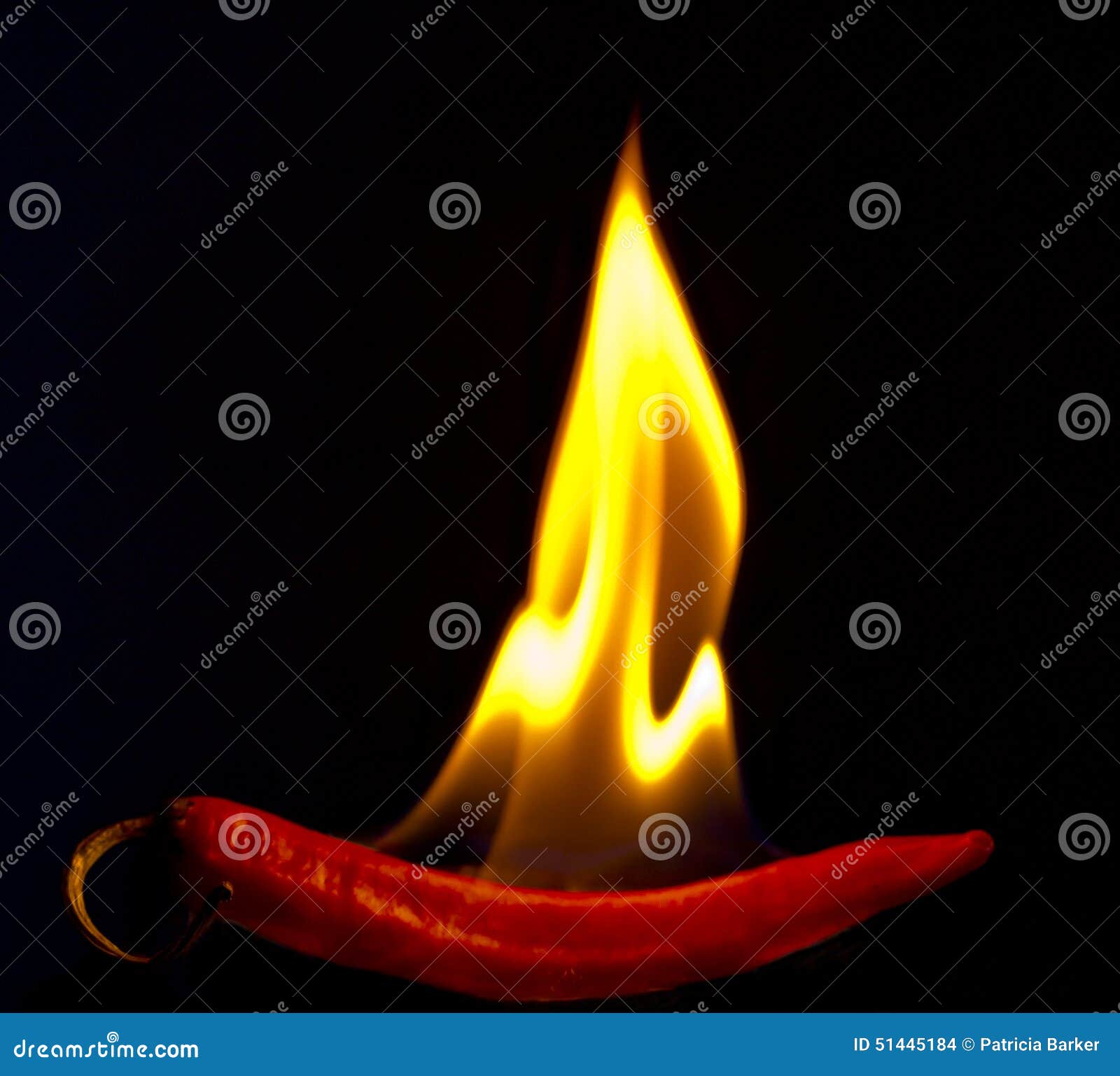 Fiery Hot Chili Pepper stock photo. Image of food, mexican - 51445184