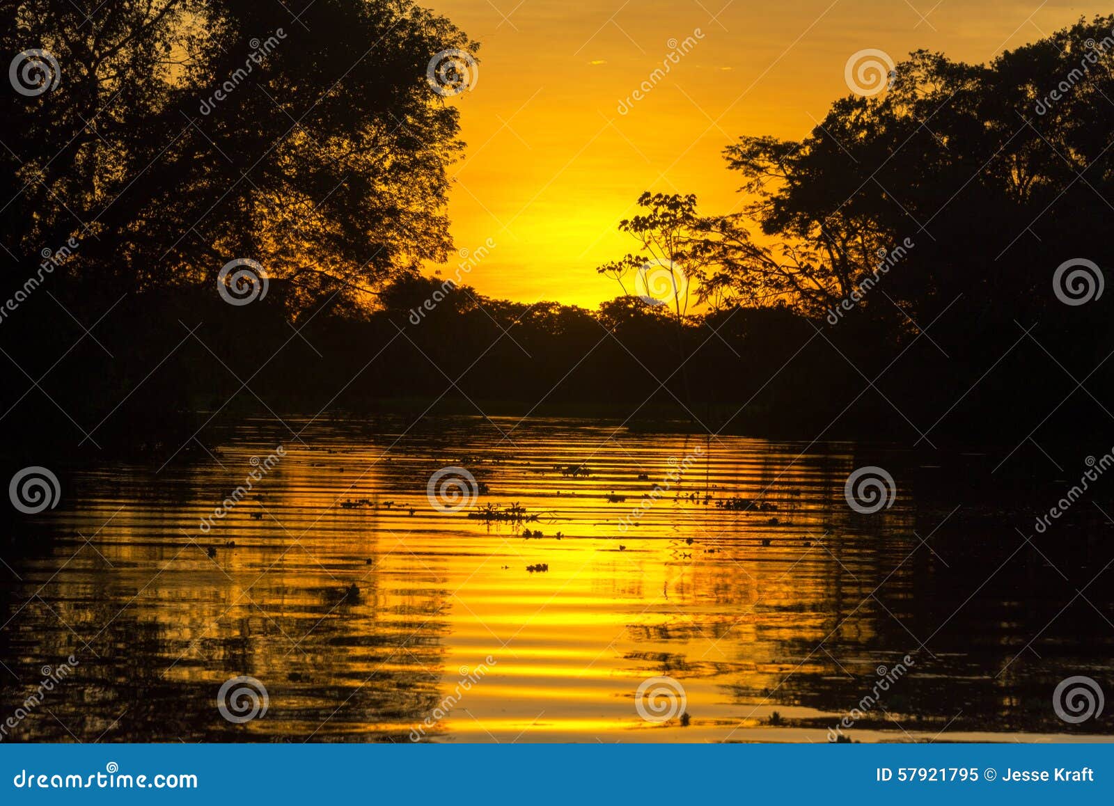 Fiery Orange Amazon Sunset stock image. Image of brazil - 57921795