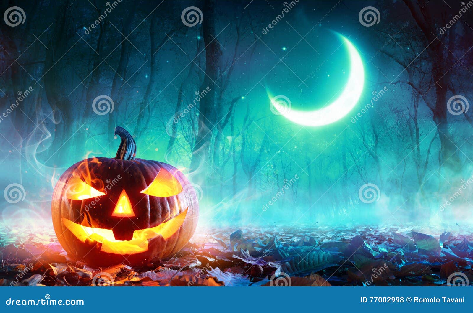 Fiery Pumpkin in a Haunted Forest Stock Photo - Image of tree, night ...