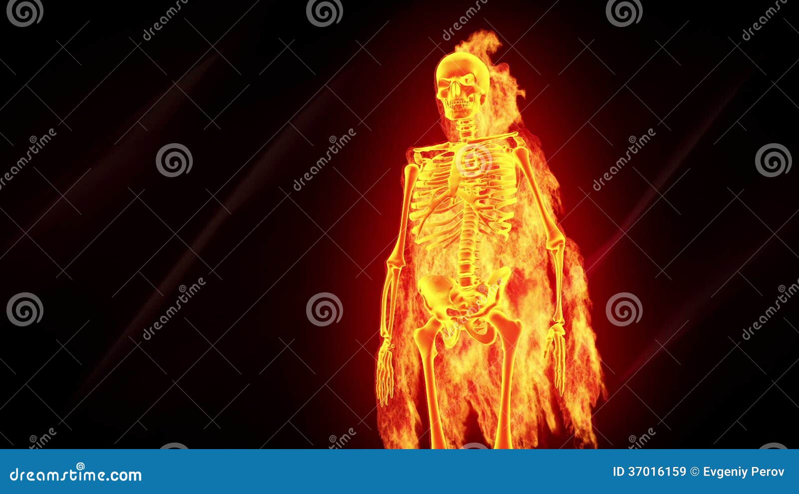 Creepy Skeleton Stock Footage & Videos - 795 Stock Videos