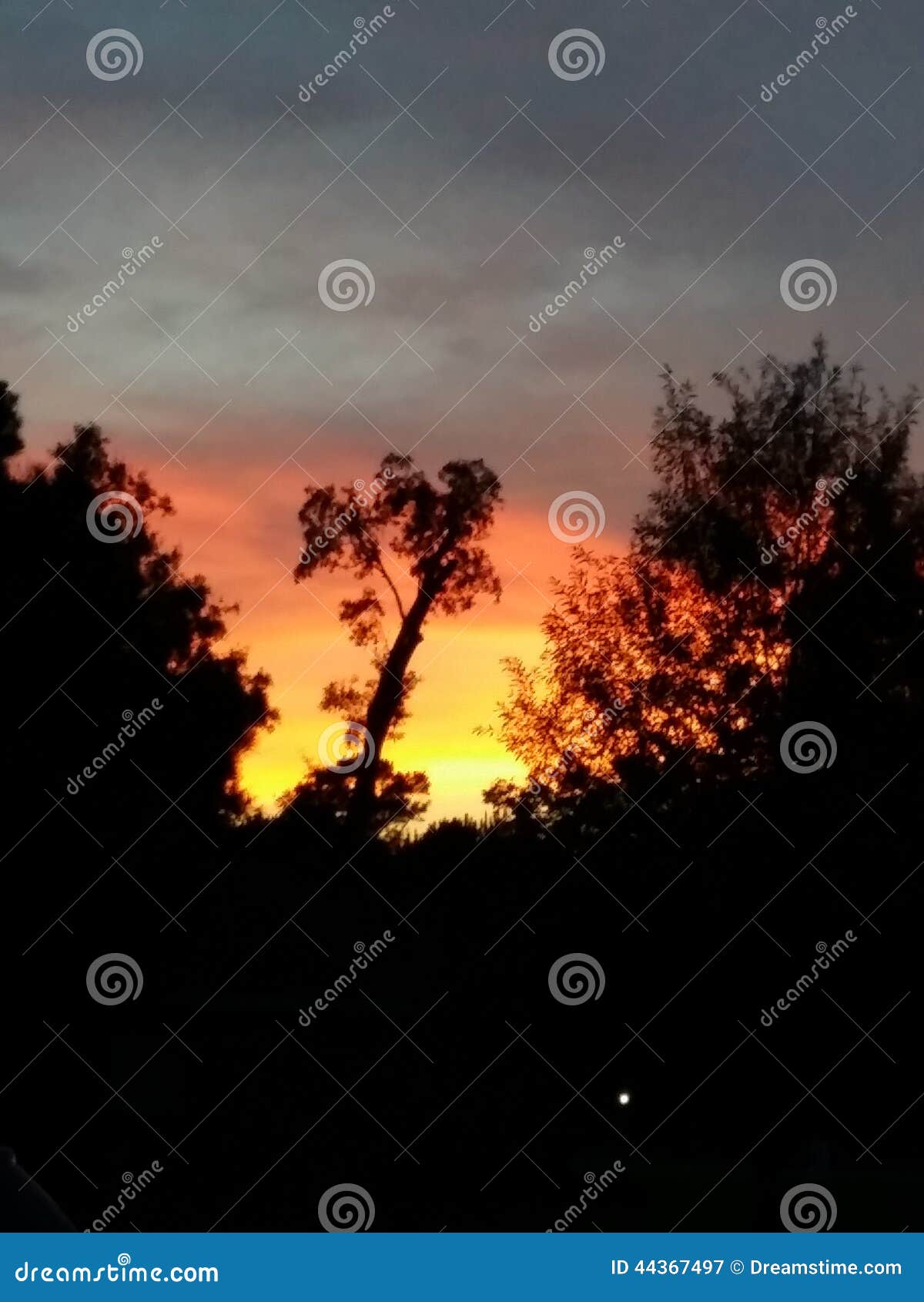 Fiery Southern Sunset stock image. Image of fiery, alabama - 44367497