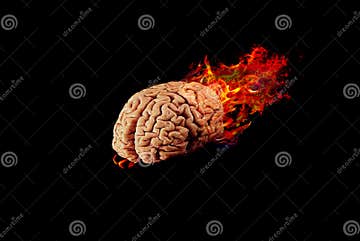 Fiery Thinking of the Human Brain Stock Photo - Image of explore, mind ...