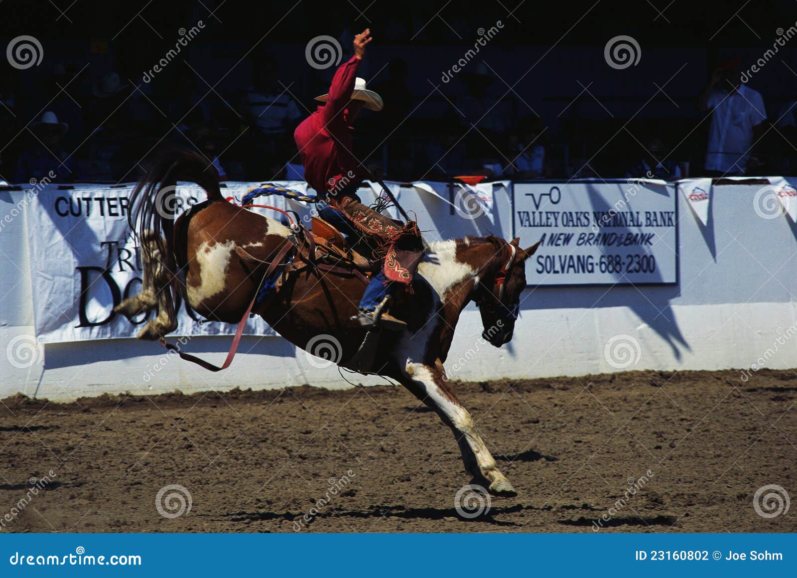 Rodeo Wrangler Royalty-Free Stock Photo | CartoonDealer.com #58494159